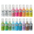 Gallery Glass Stained Glass Acrylic Paint Kit, 18 Piece Set, 2 fl oz ...