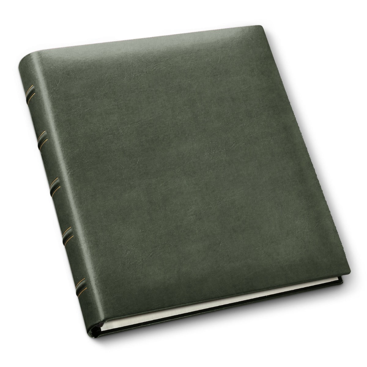 Gallery Leather Gallery Photo Album - Acadia Green - 11.75"x10.5 ...