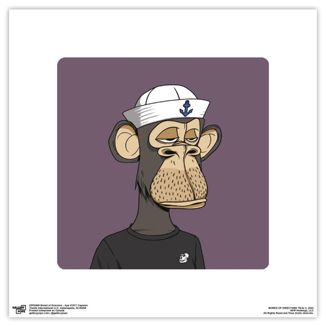 Gallery Pops Bored of Directors - Ape #1017 Capeton Wall Art, Unframed ...