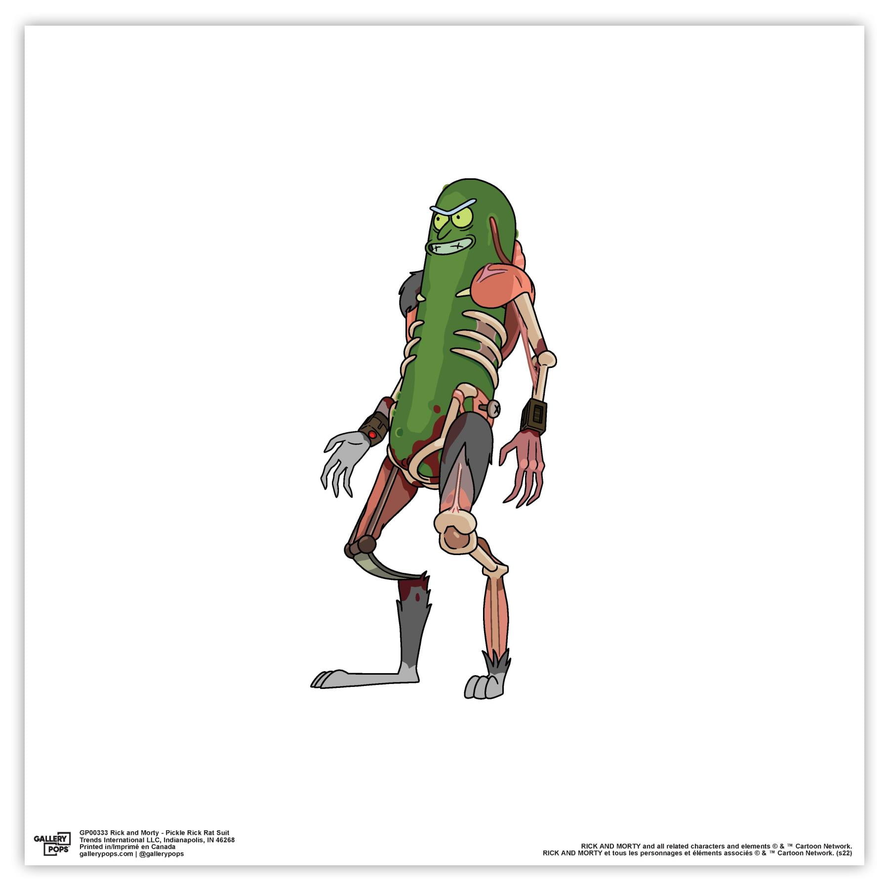 Gallery Pops Cartoon Network Rick and Morty - Pickle Rick Rat Suit Wall ...