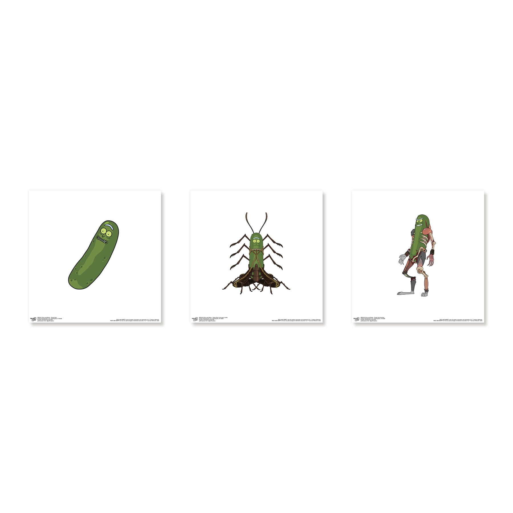 Gallery Pops Cartoon Network Rick and Morty - Pickle Rick Wall Art ...