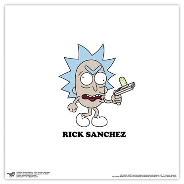 Gallery Pops Cartoon Network Rick and Morty - Full Body Morty Wall Art ...
