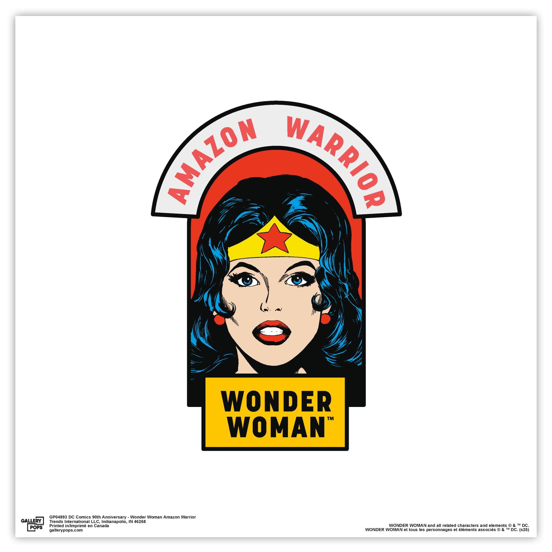 Gallery Pops DC Comics 90th Anniversary - Wonder Woman Amazon Warrior ...