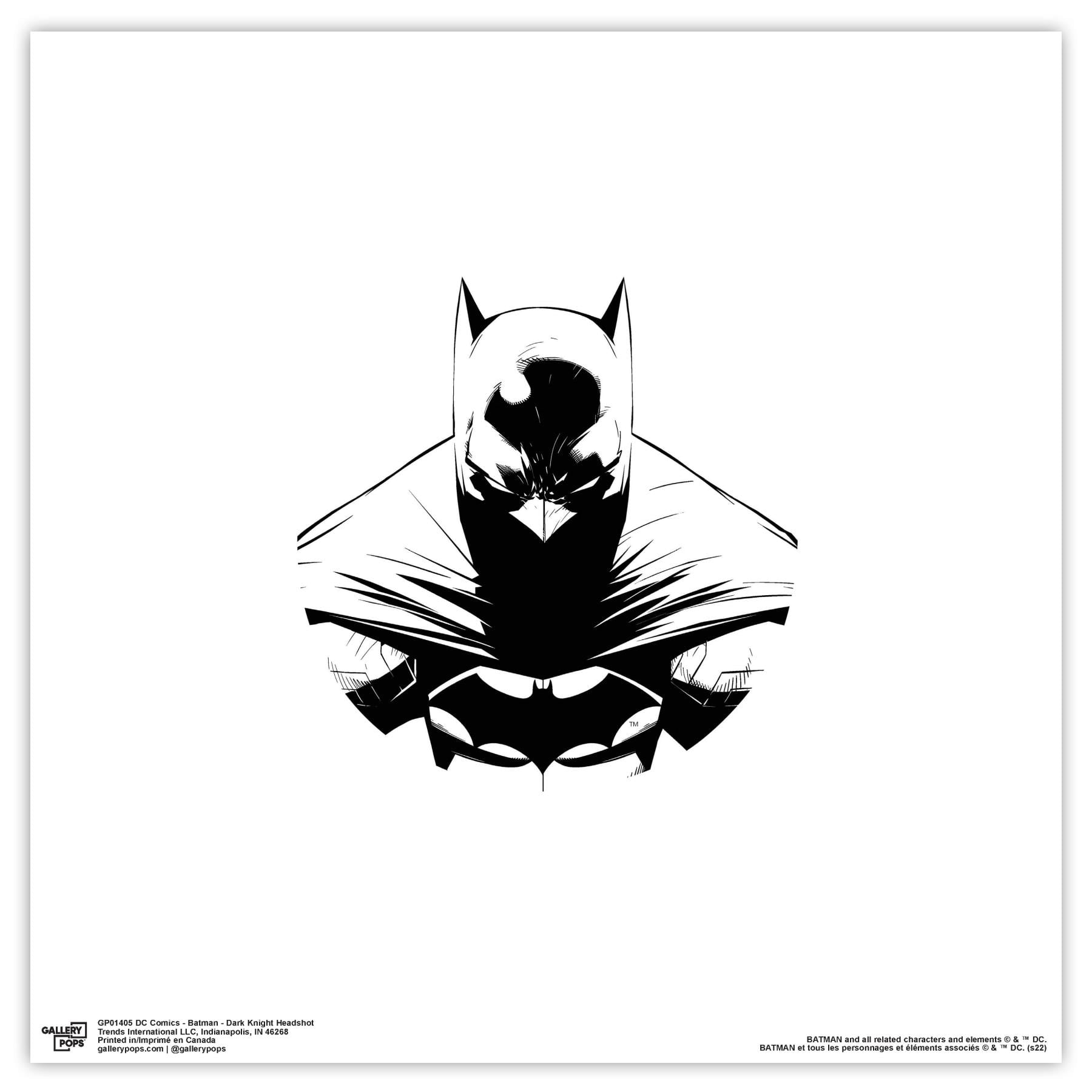 Gallery Pops DC Comics Batman - Dark Knight Headshot Wall Art, Unframed ...