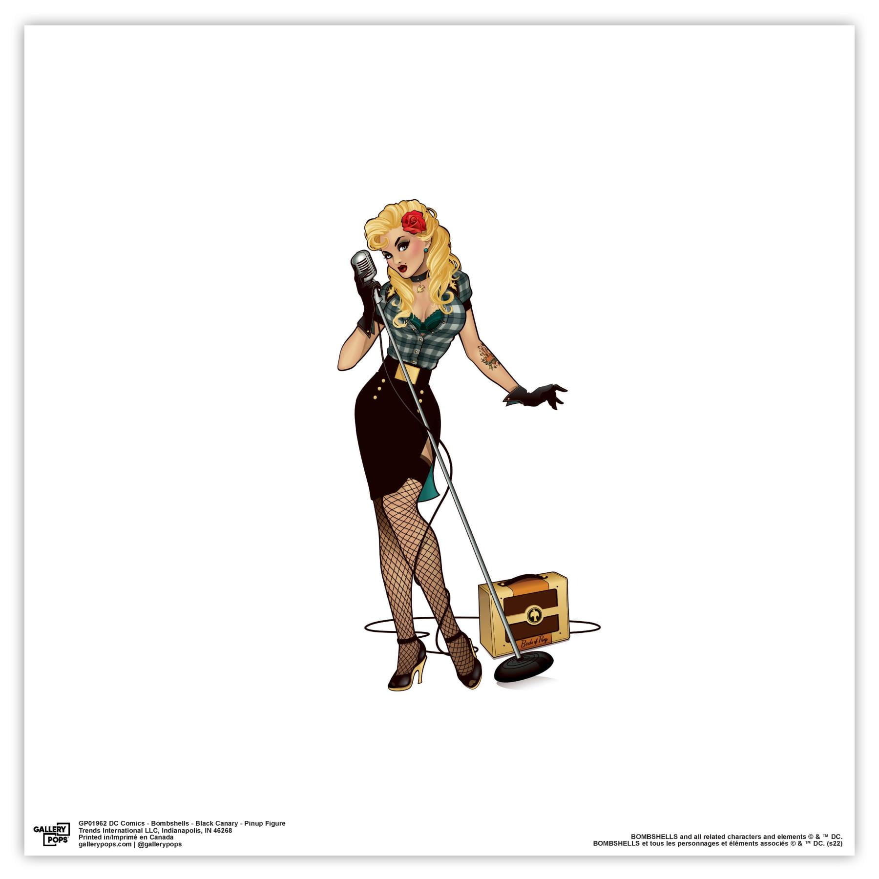 Gallery Pops DC Comics Bombshells - Black Canary - Pinup Figure Wall ...