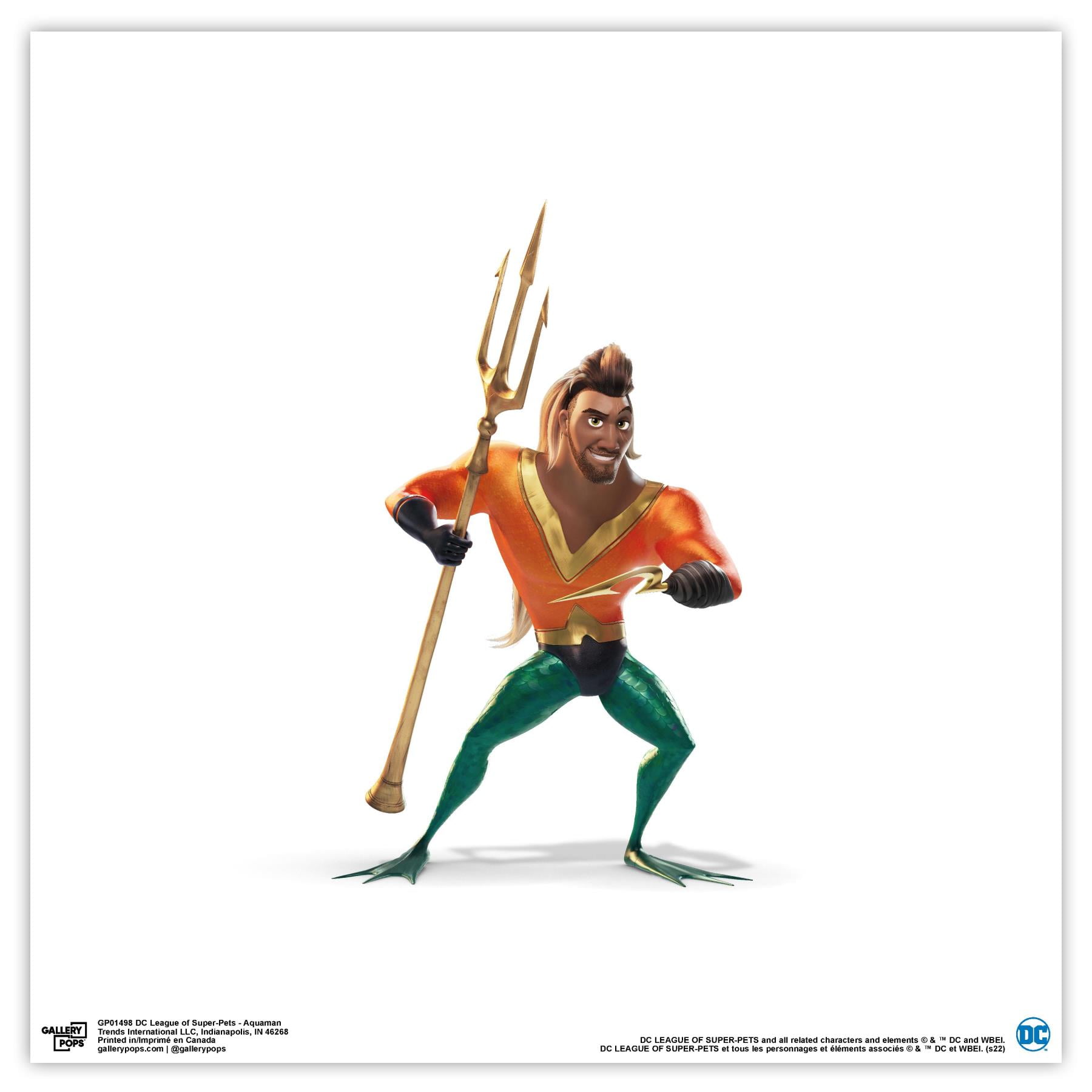 Gallery Pops DC Comics DC League of Super-Pets - Aquaman Wall Art ...