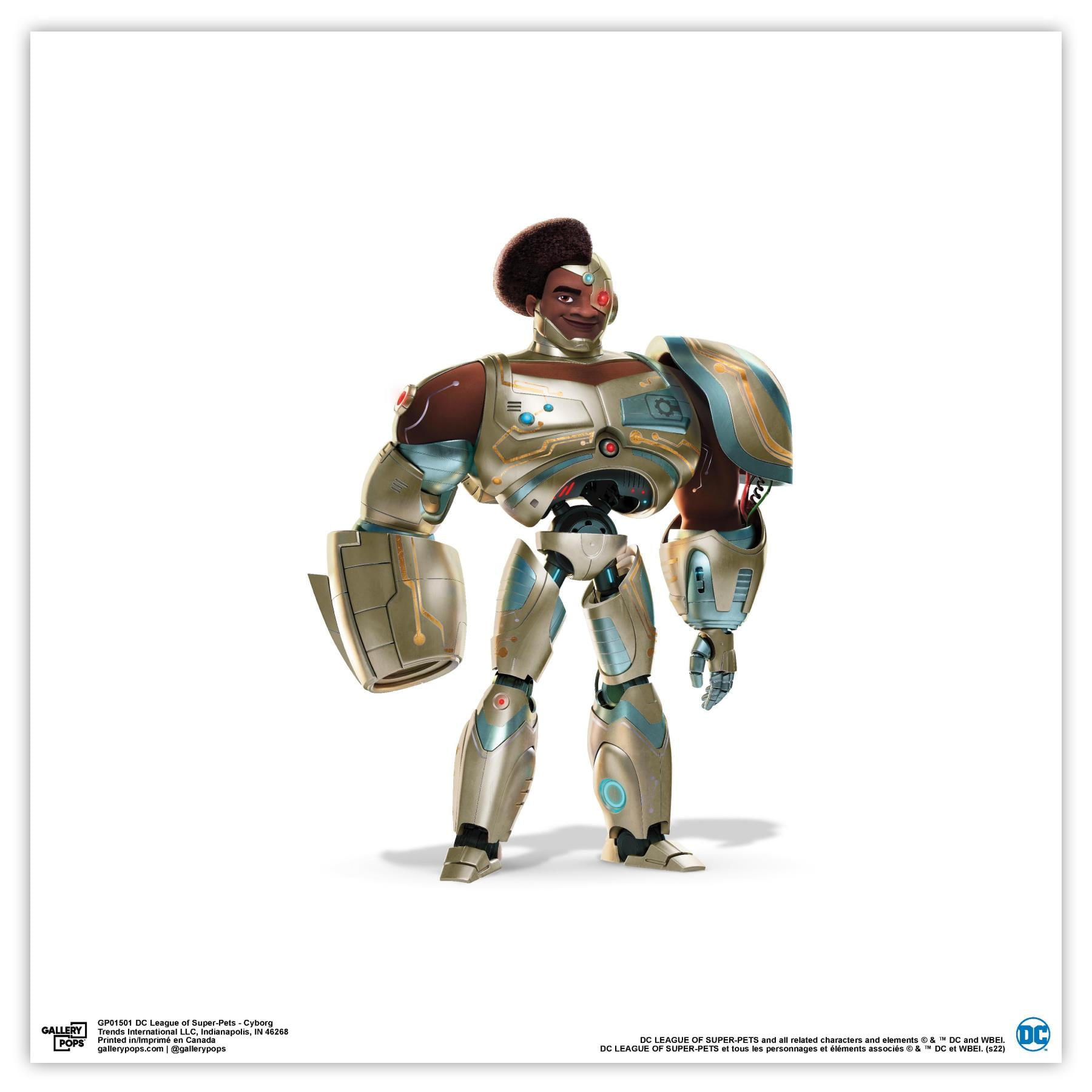 Gallery Pops DC Comics DC League of Super-Pets - Cyborg Wall Art ...