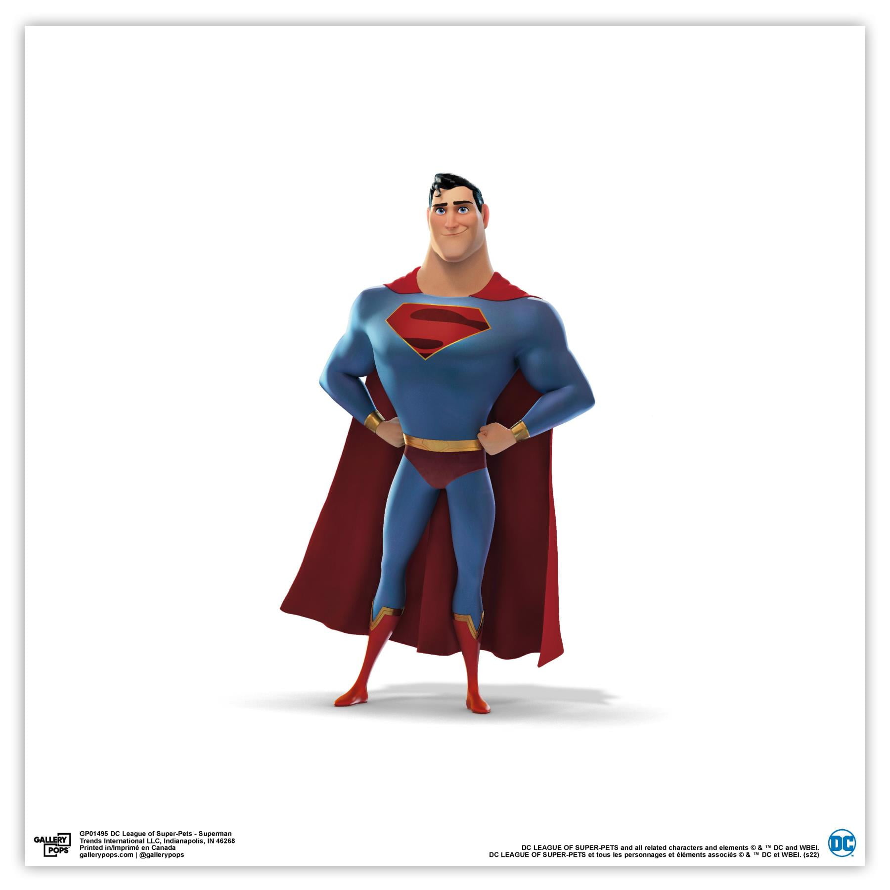Gallery Pops DC Comics DC League of Super-Pets - Superman Wall Art ...