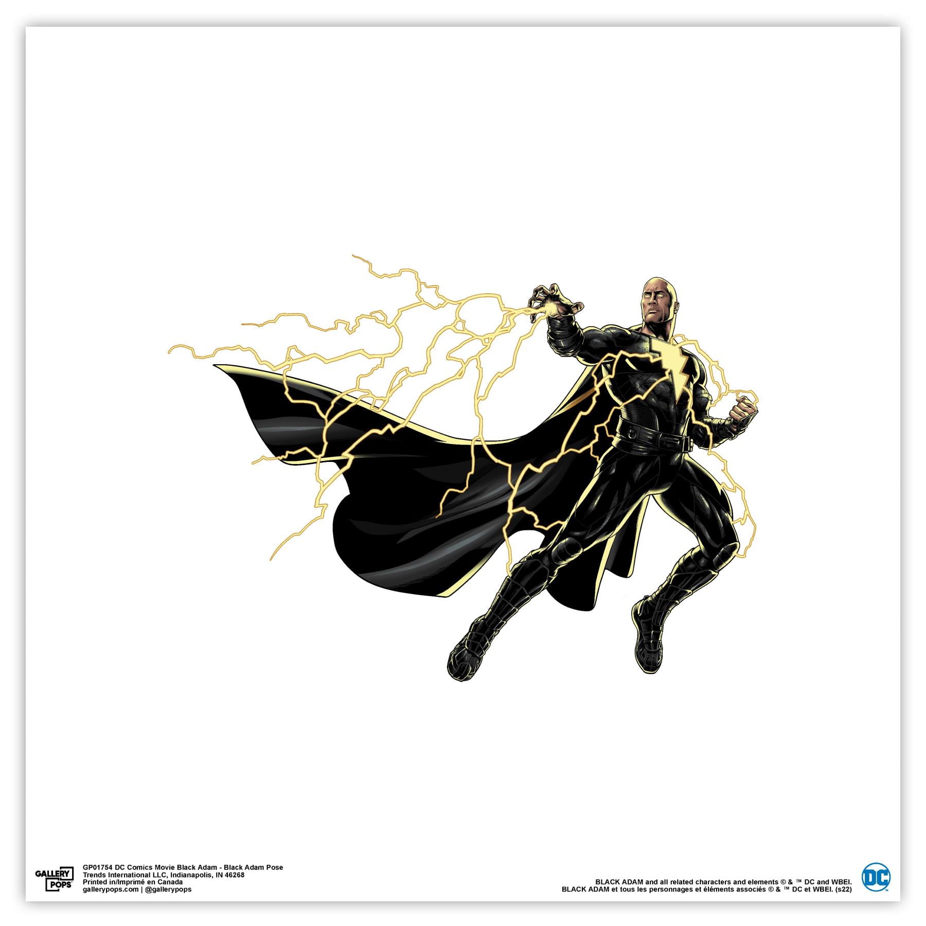 Gallery Pops DC Comics Movie Black Adam - Black Adam Pose Wall Art ...