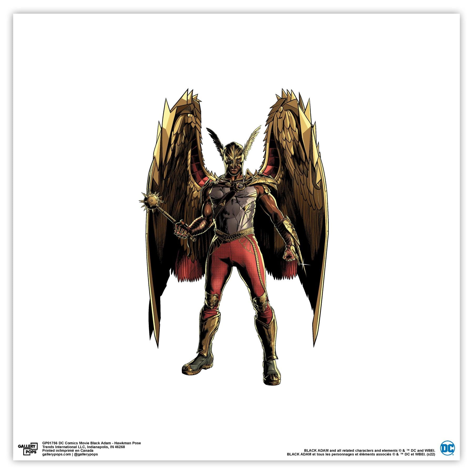 Gallery Pops DC Comics Movie Black Adam - Hawkman Pose Wall Art ...