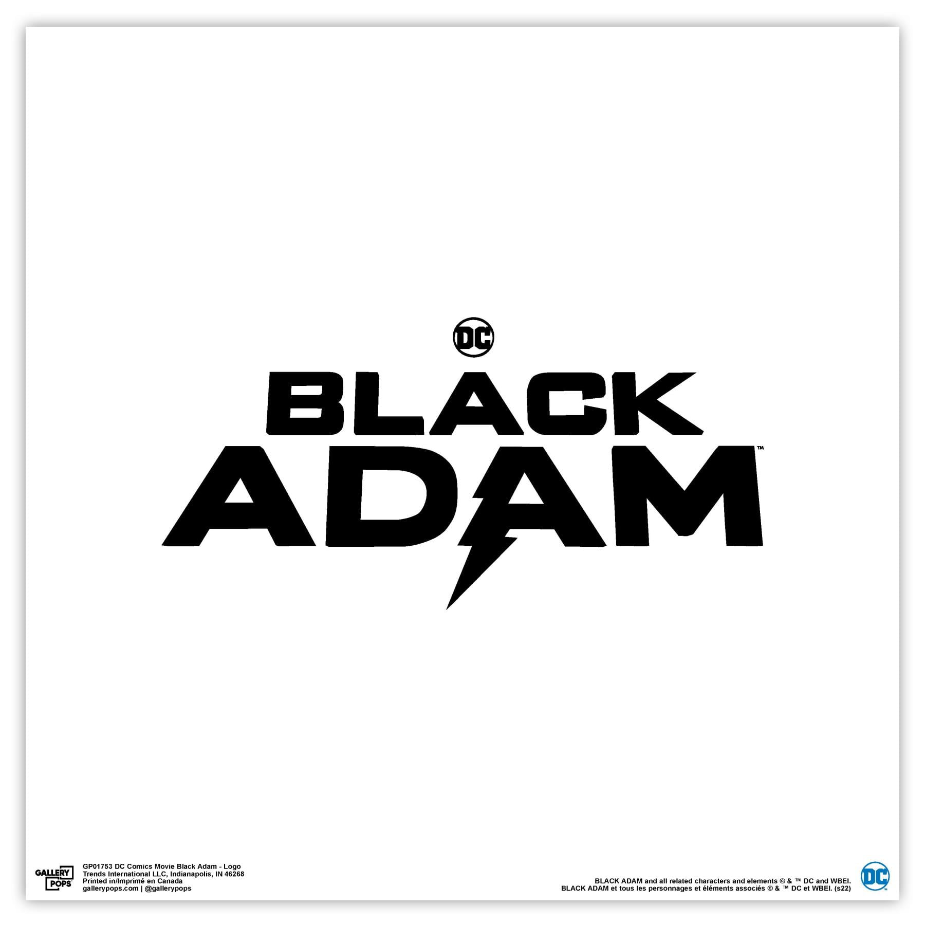 Gallery Pops DC Comics Movie Black Adam - Logo Wall Art, Unframed ...