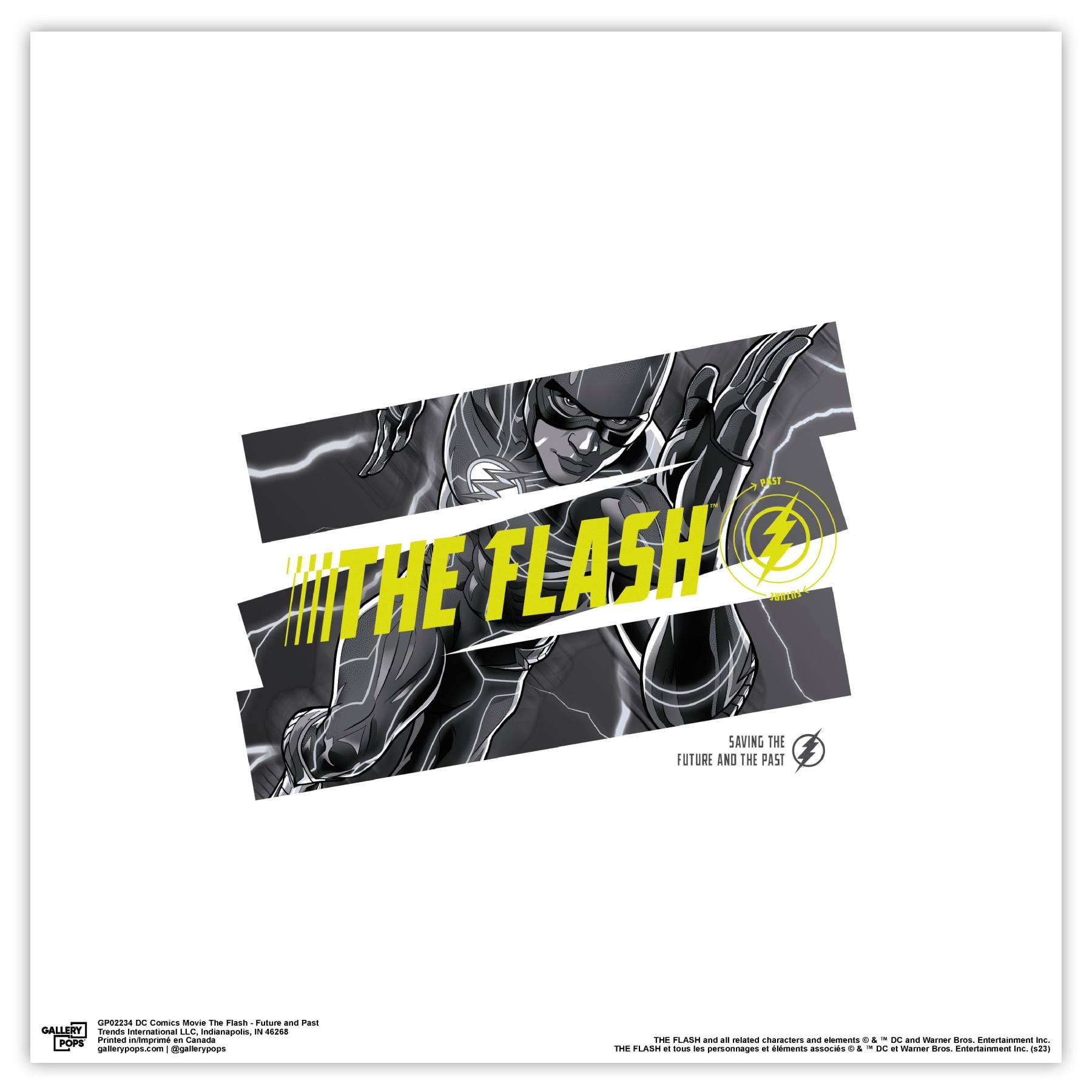 Gallery Pops DC Comics Movie The Flash - Future and Past Wall Art ...