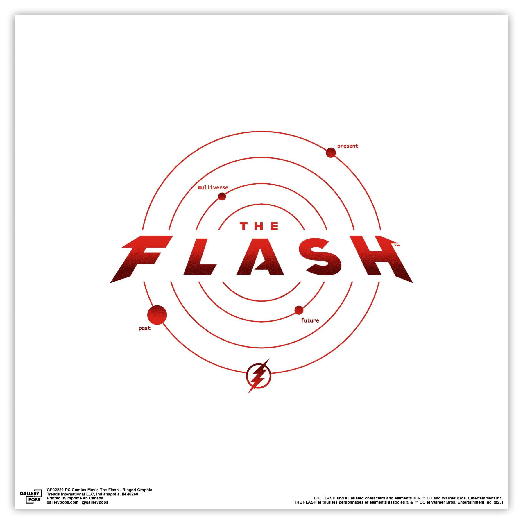 Gallery Pops DC Comics Movie The Flash - Ringed Graphic Wall Art ...