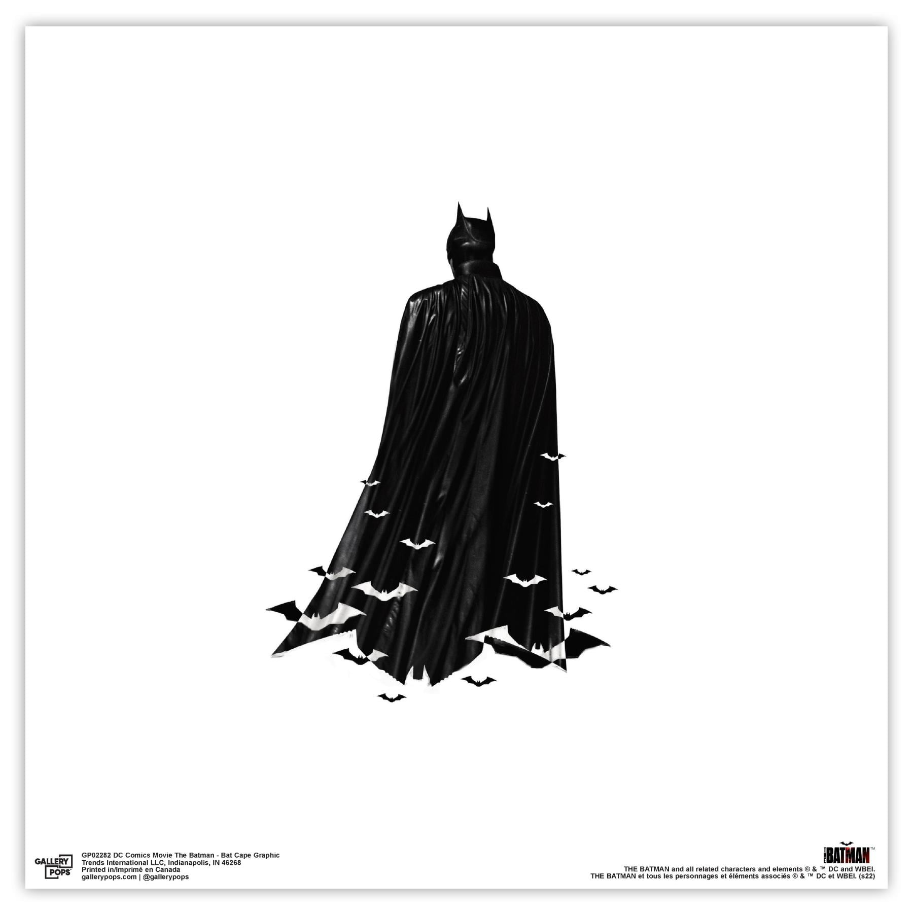 Gallery Pops DC Comics The Batman - Bat Cape Graphic Wall Art, Unframed ...
