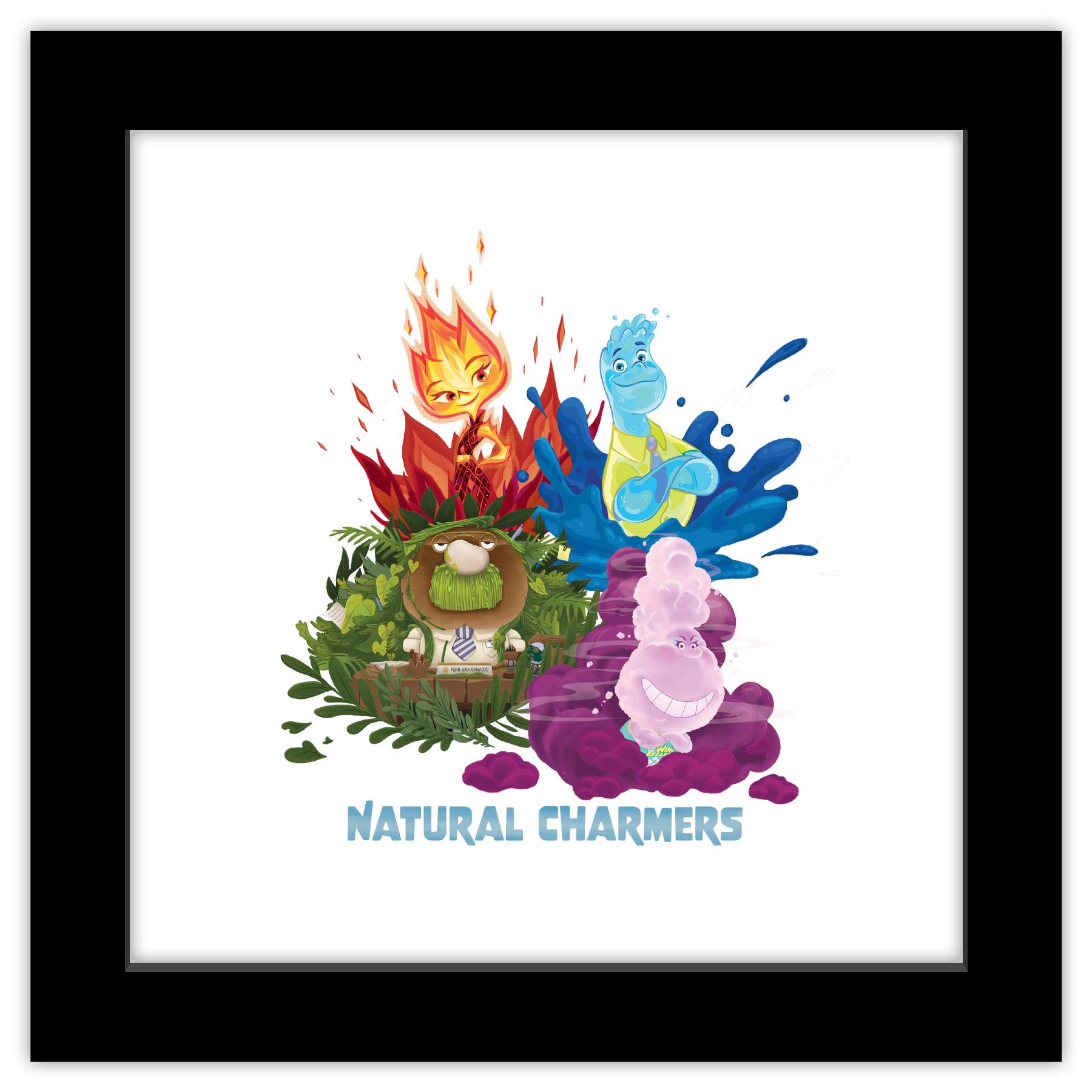Gallery Pops Disney Elemental - Natural Charmers Wall Art, Black Framed ...