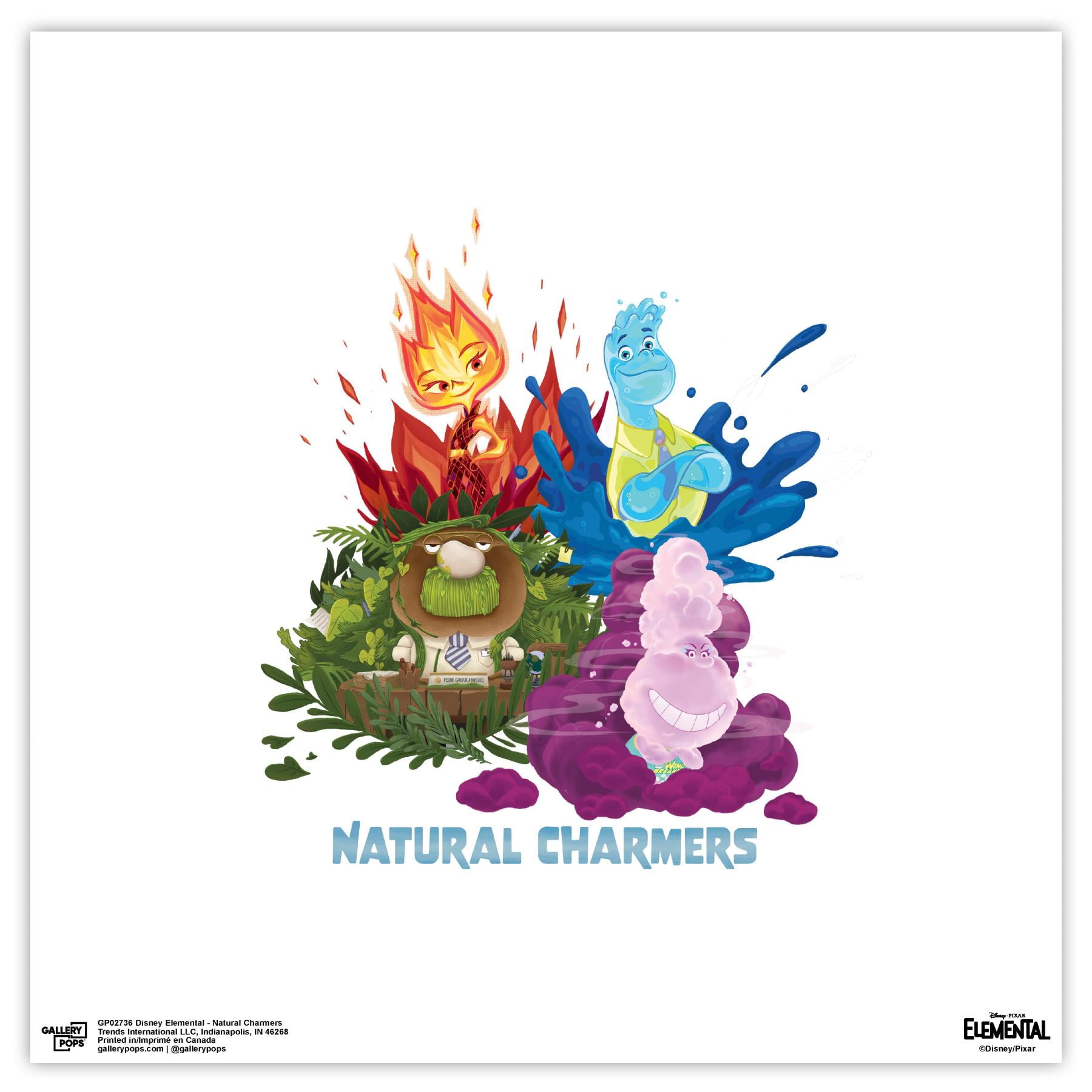 Gallery Pops Disney Elemental - Natural Charmers Wall Art, Unframed ...