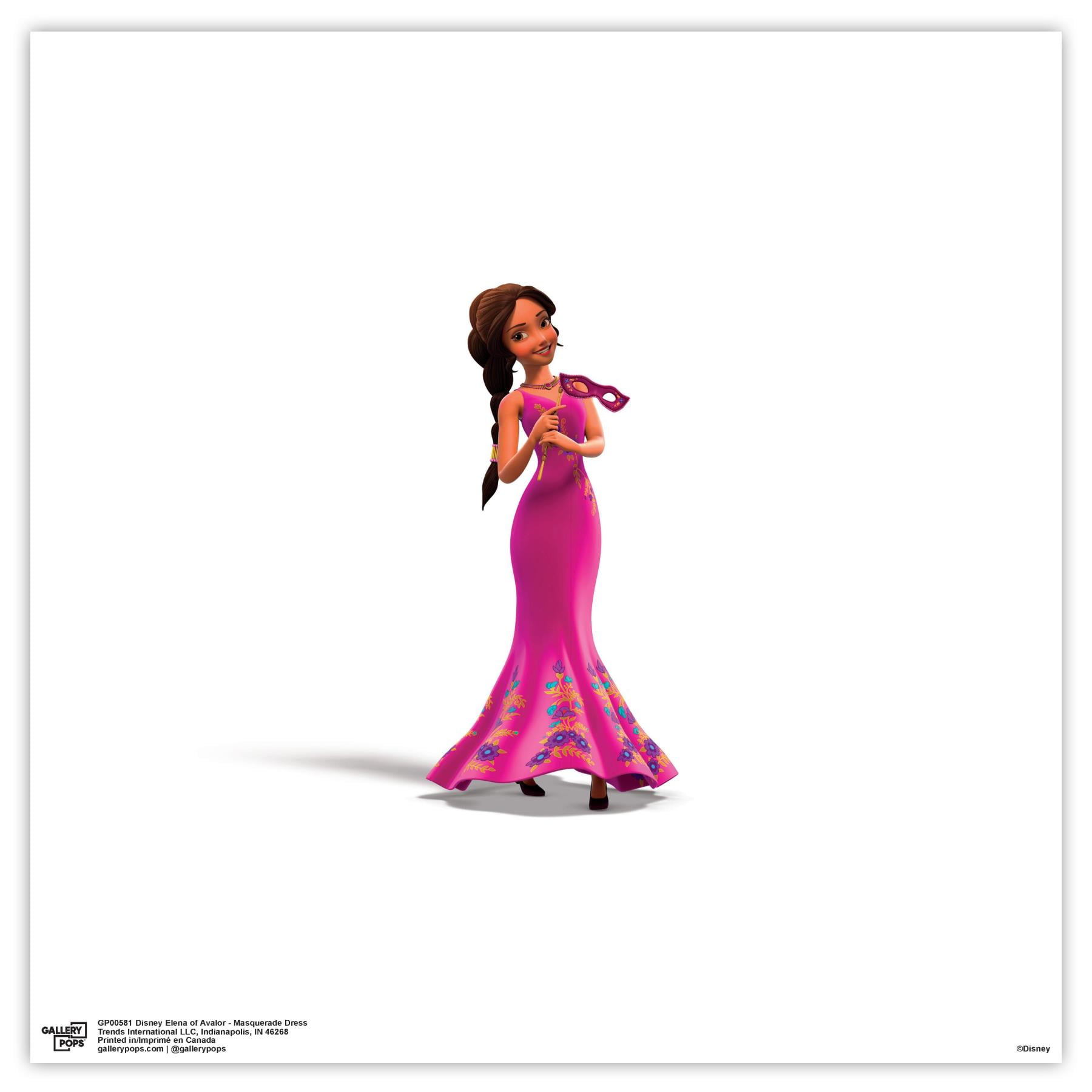 Gallery Pops Disney Elena of Avalor - Masquerade Dress Wall Art ...