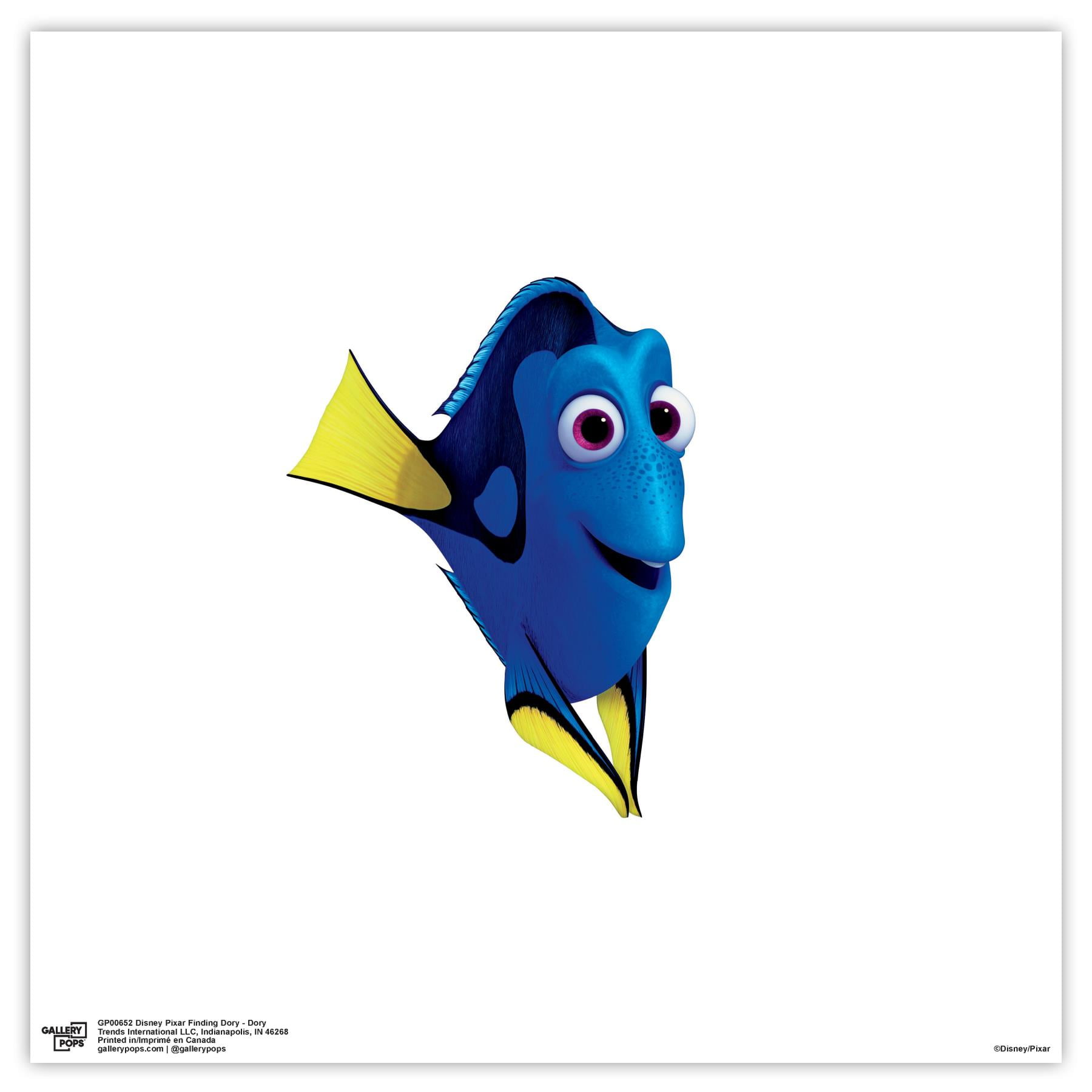 Gallery Pops Disney Pixar Finding Dory - Dory Wall Art, Unframed ...