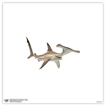 Gallery Pops Disney Pixar Finding Nemo - Jacques Wall Art, Unframed ...