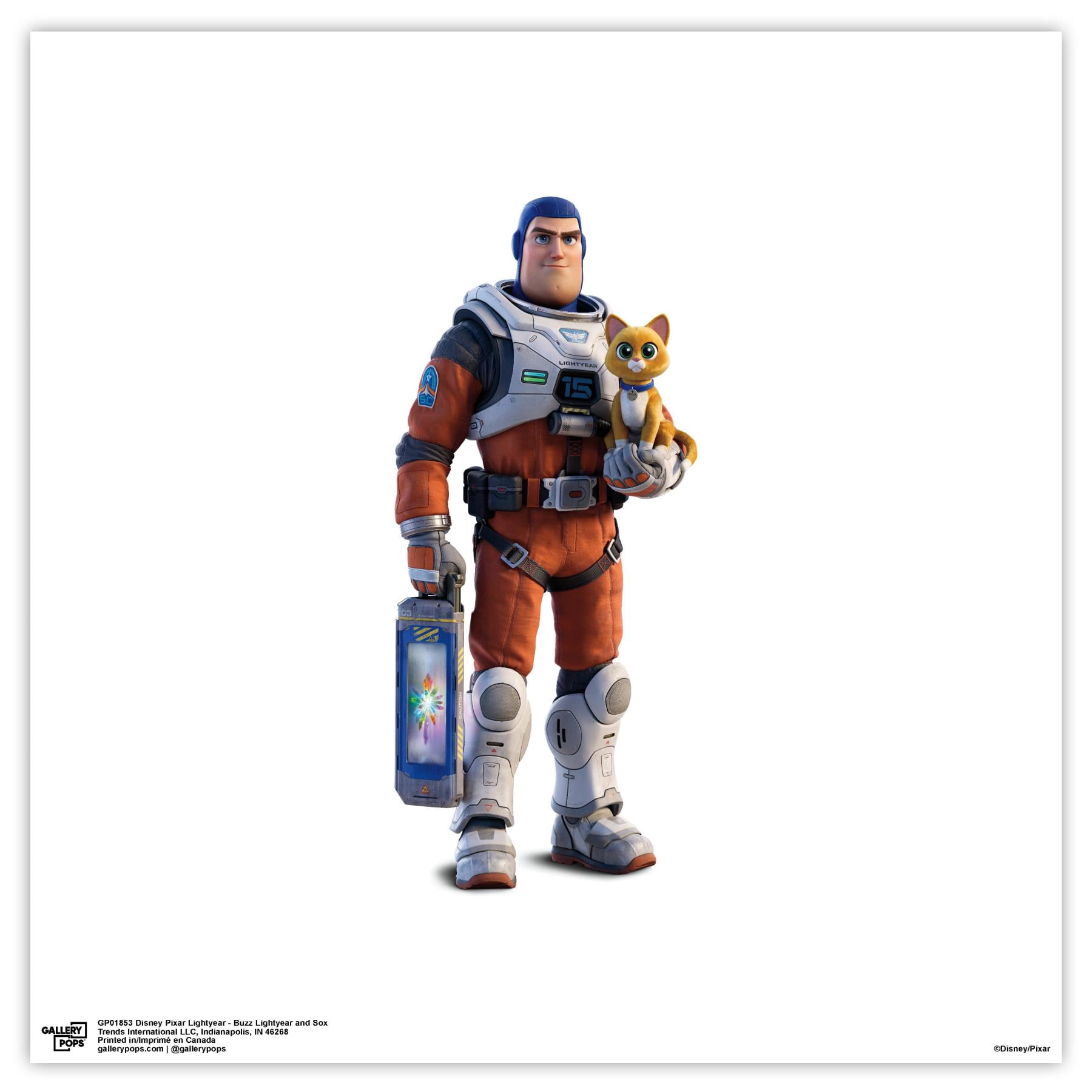 Gallery Pops Disney Pixar Lightyear - Buzz Lightyear and SOX Wall Art ...