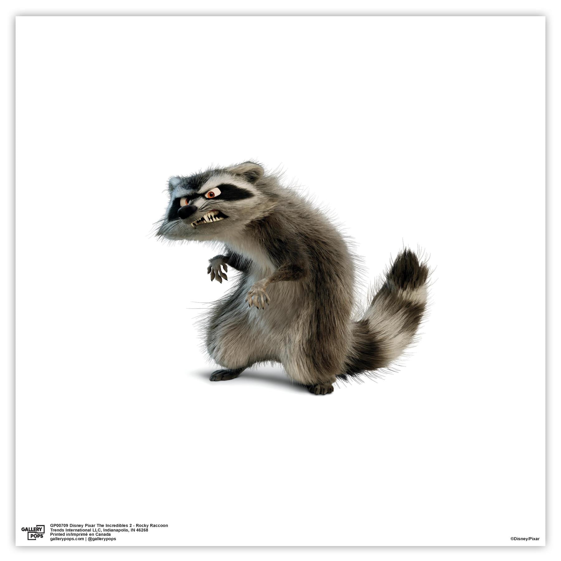 Rocky Raccoon