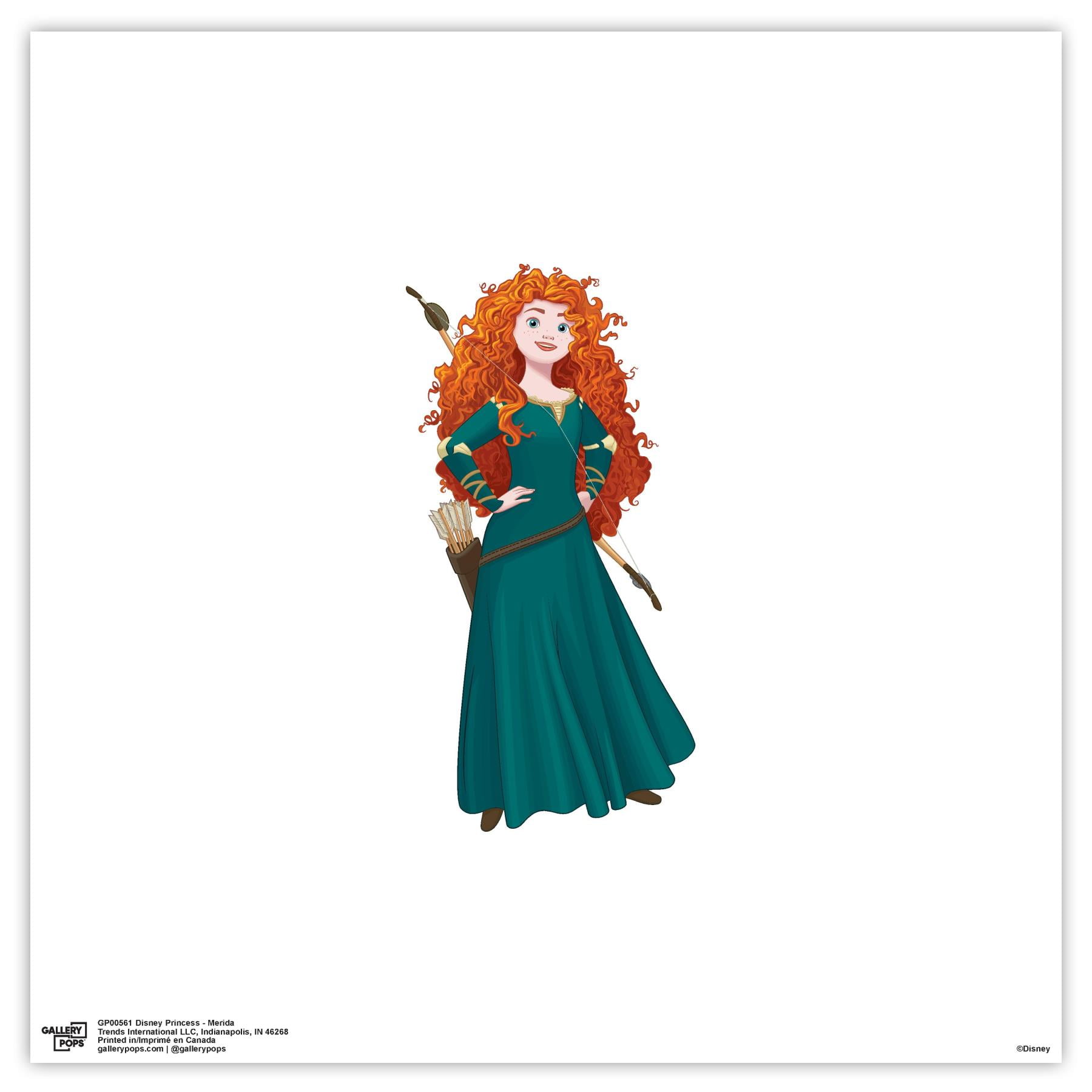 Gallery Pops Disney Princess - Merida Wall Art, Unframed Version, 12" x ...