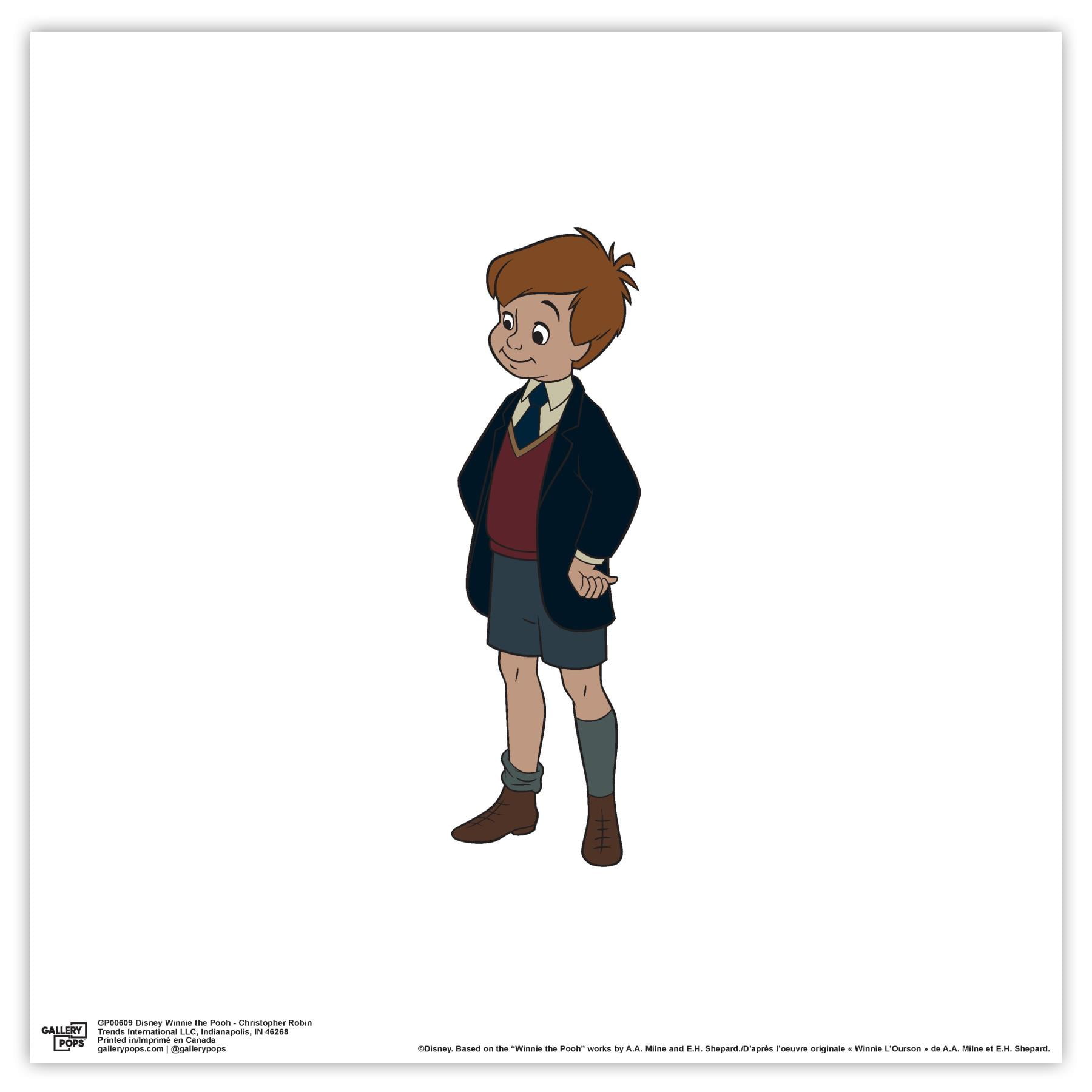 Gallery Pops Disney Winnie The Pooh - Christopher Robin Wall Art ...
