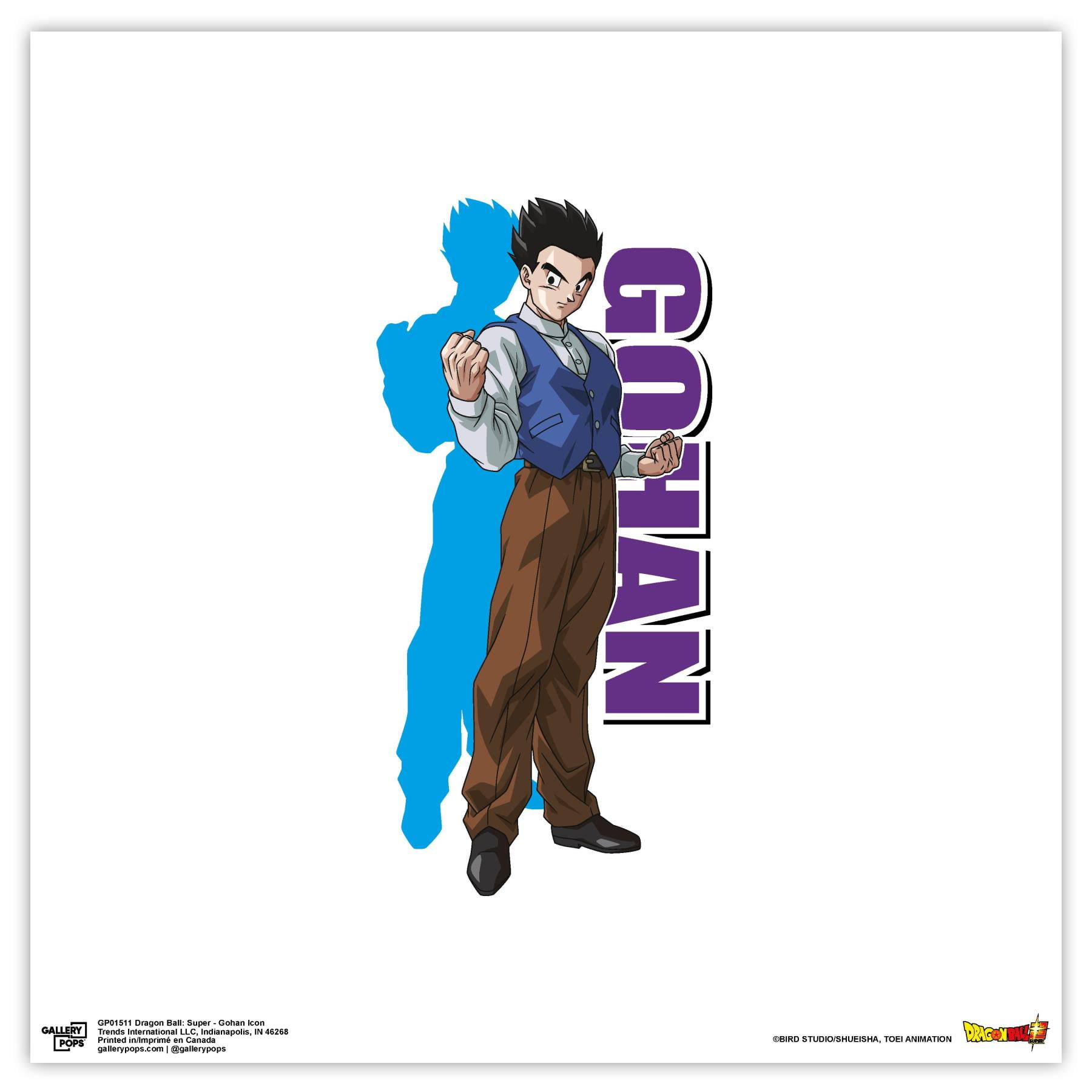 Gallery Pops Dragon Ball: Super - Gohan Icon Wall Art, Unframed Version ...
