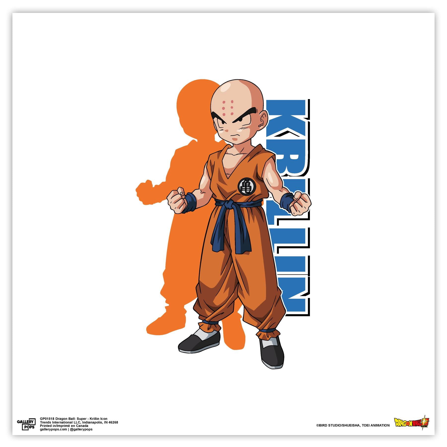 Gallery Pops Dragon Ball: Super - Krillin Icon Wall Art, Unframed ...