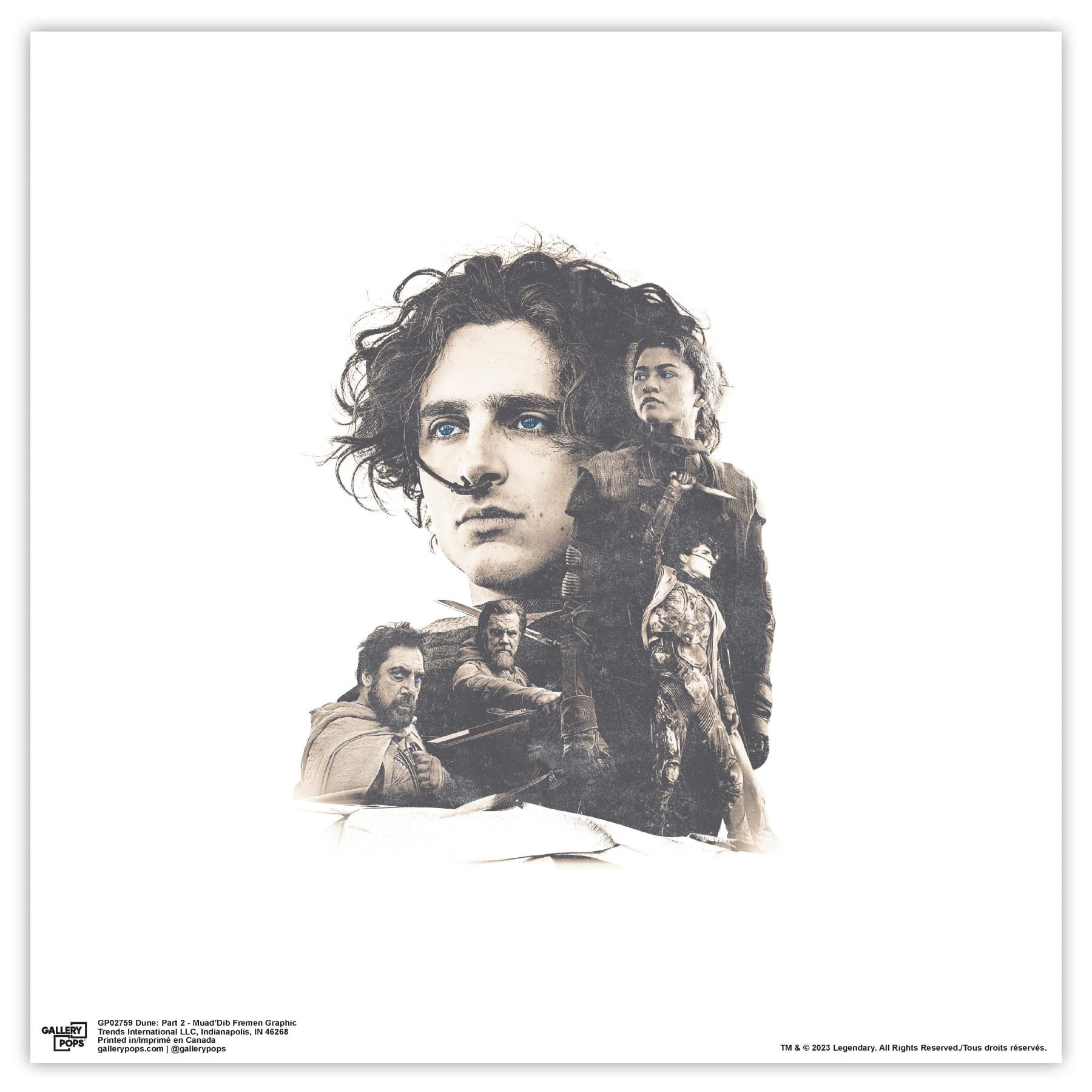 Gallery Pops Dune: Part Two - Muad'Dib Fremen Graphic Wall Art ...