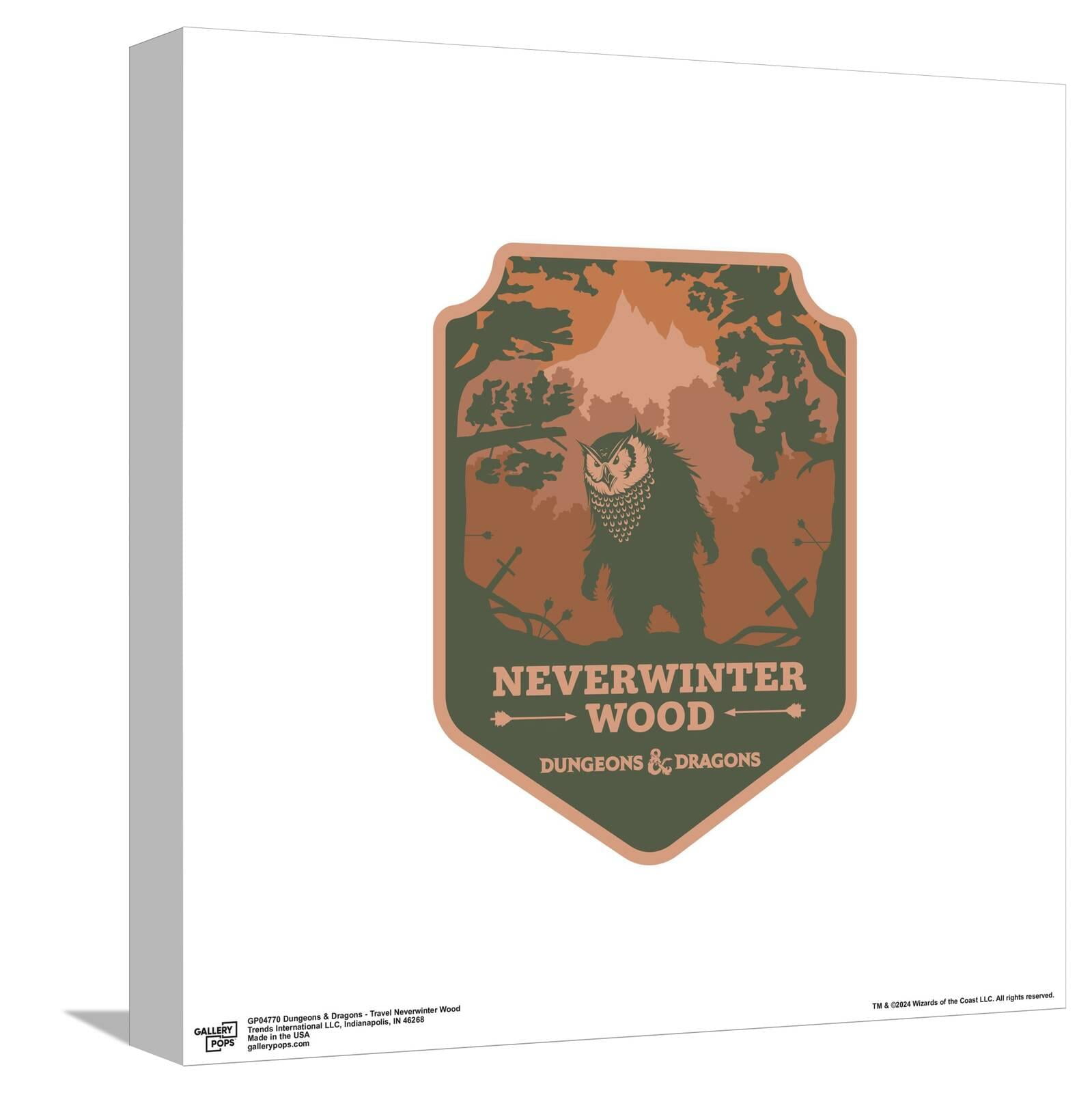 Gallery Pops Dungeons & Dragons - Travel Neverwinter Wood Canvas Wall ...