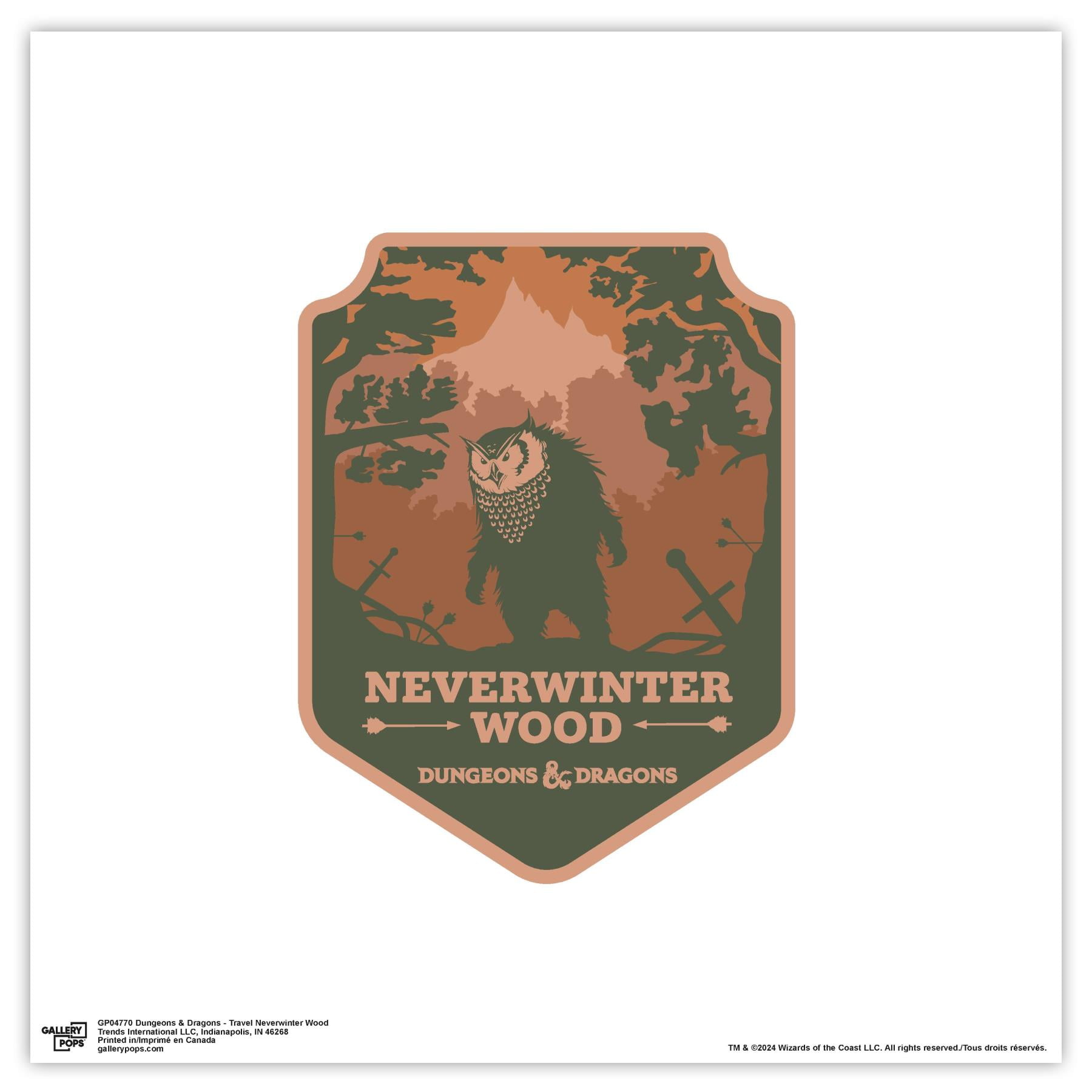 Gallery Pops Dungeons & Dragons - Travel Neverwinter Wood Wall Art ...