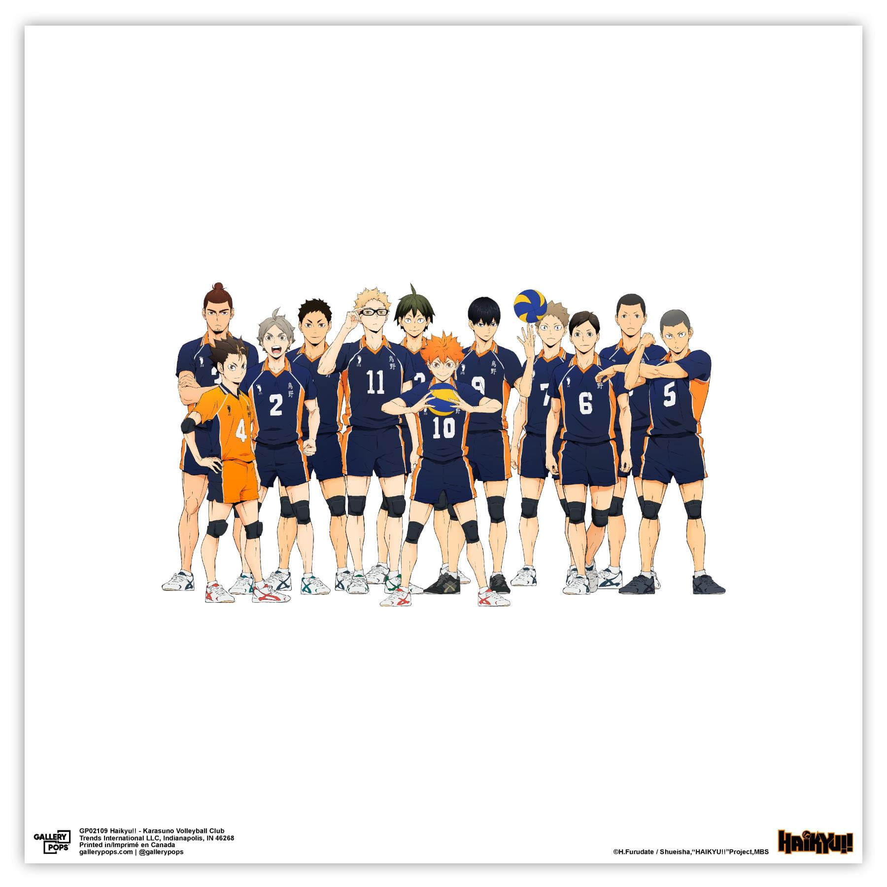 Gallery Pops Haikyu!! - Karasuno Volleyball Club Wall Art, Unframed ...