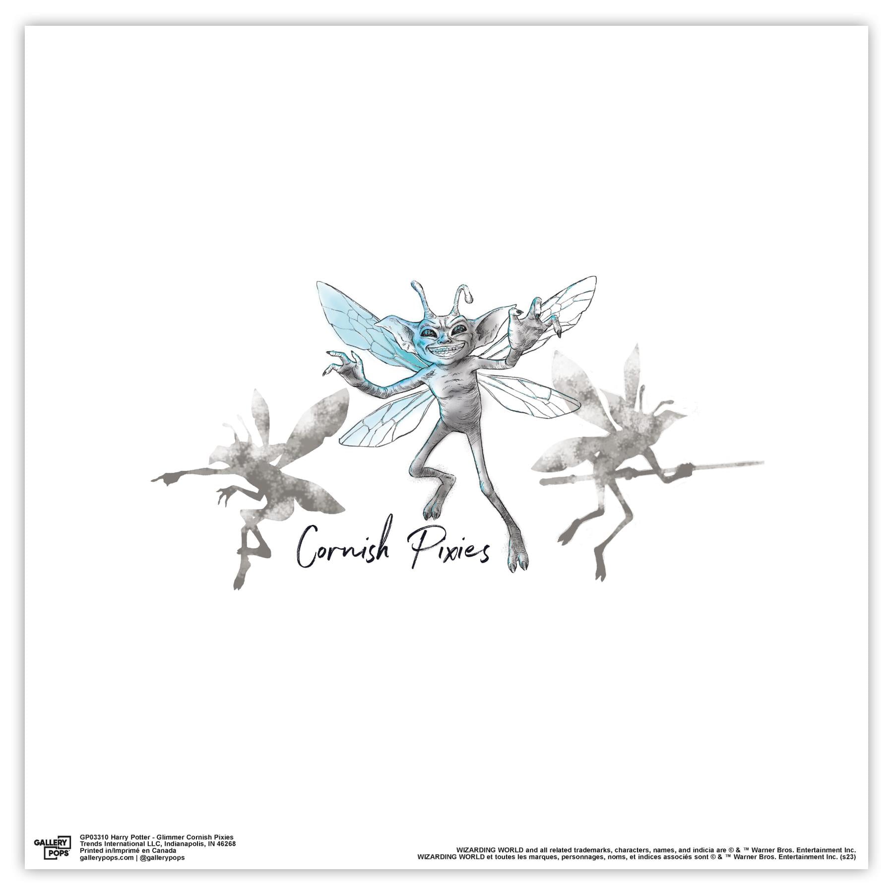 Gallery Pops Harry Potter - Glimmer Cornish Pixies Wall Art, Unframed Version, 12" x 12 ...
