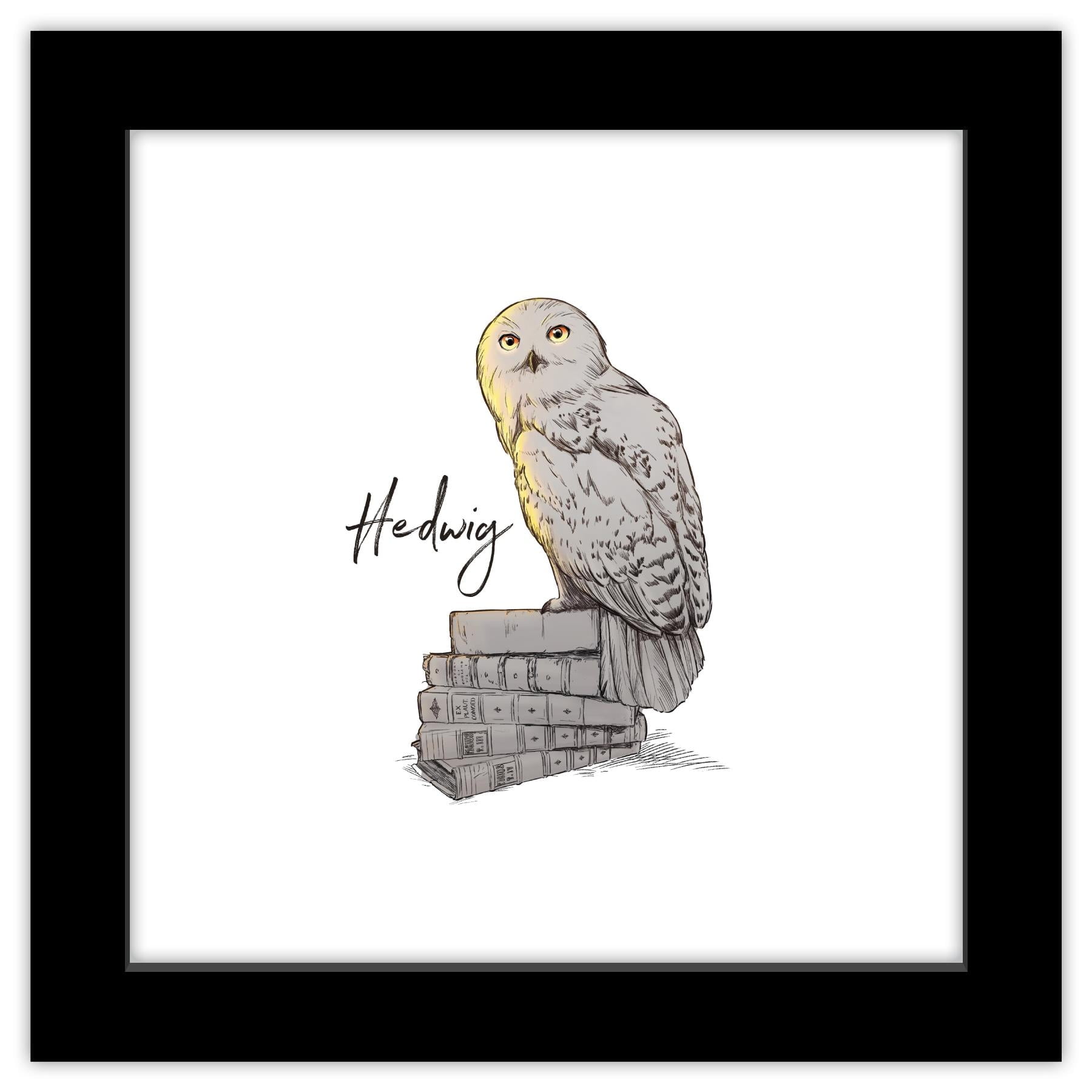 Gallery Pops Harry Potter - Glimmer Hedwig Wall Art, Black Framed ...