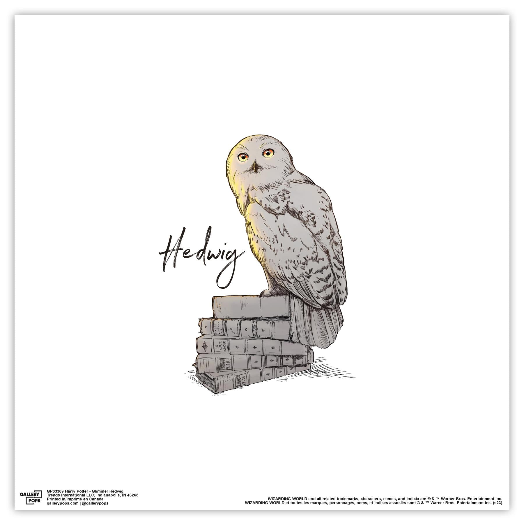 Gallery Pops Harry Potter - Glimmer Hedwig Wall Art, Unframed Version, 12" x 12" - Walmart.com