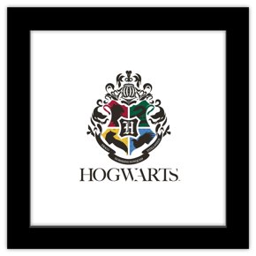 Harry Potter Picture Frames