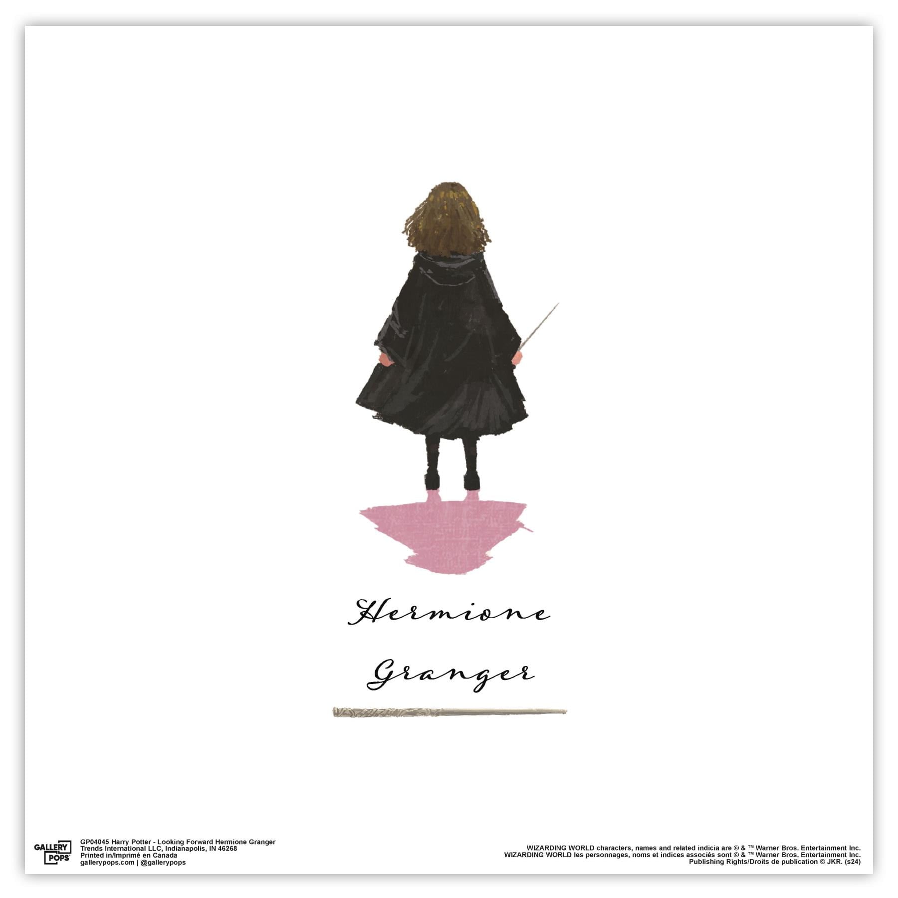 Gallery Pops Harry Potter - Looking Forward Hermione Granger Wall Art ...