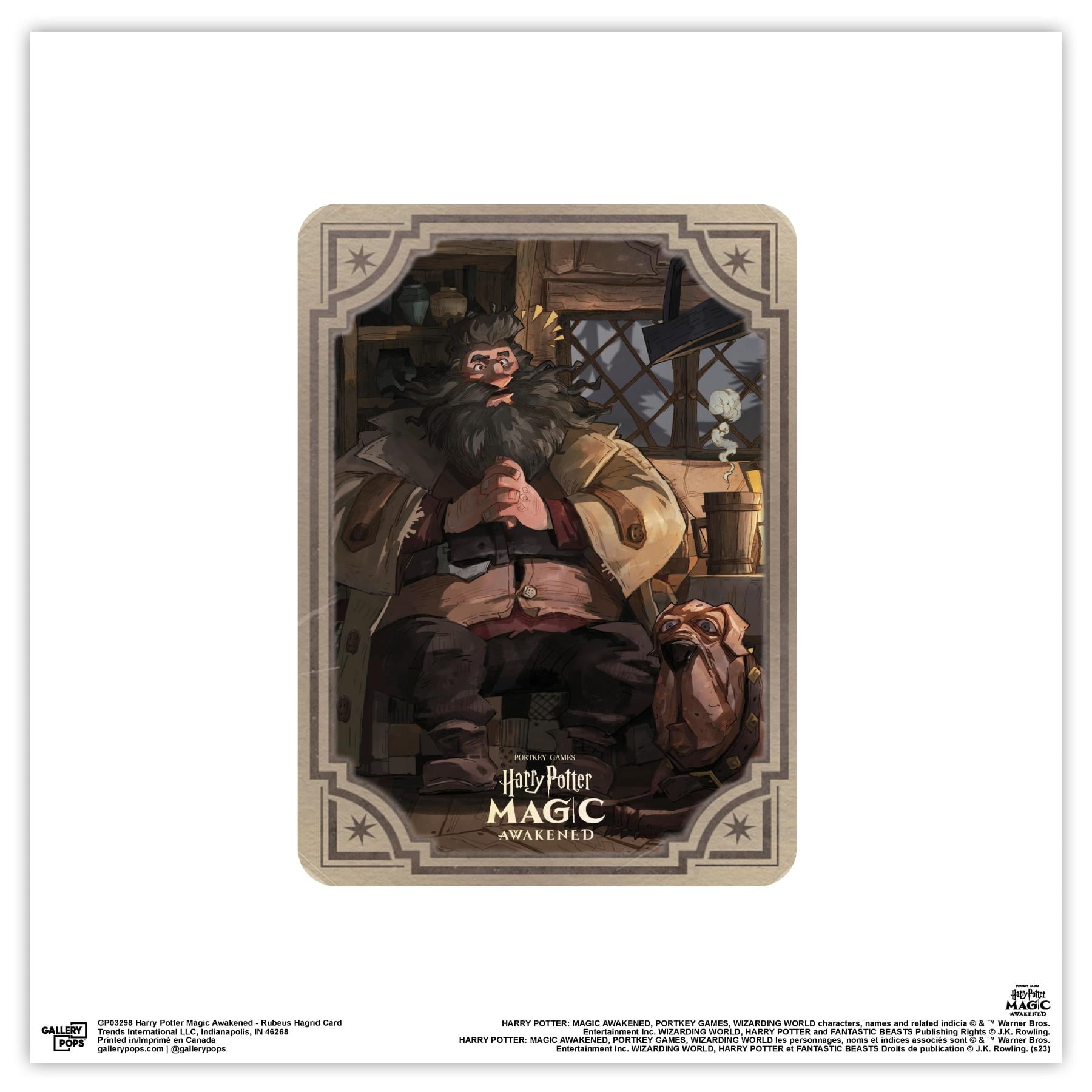 Gallery Pops Harry Potter Magic Awakened - Rubeus Hagrid Card Wall Art ...