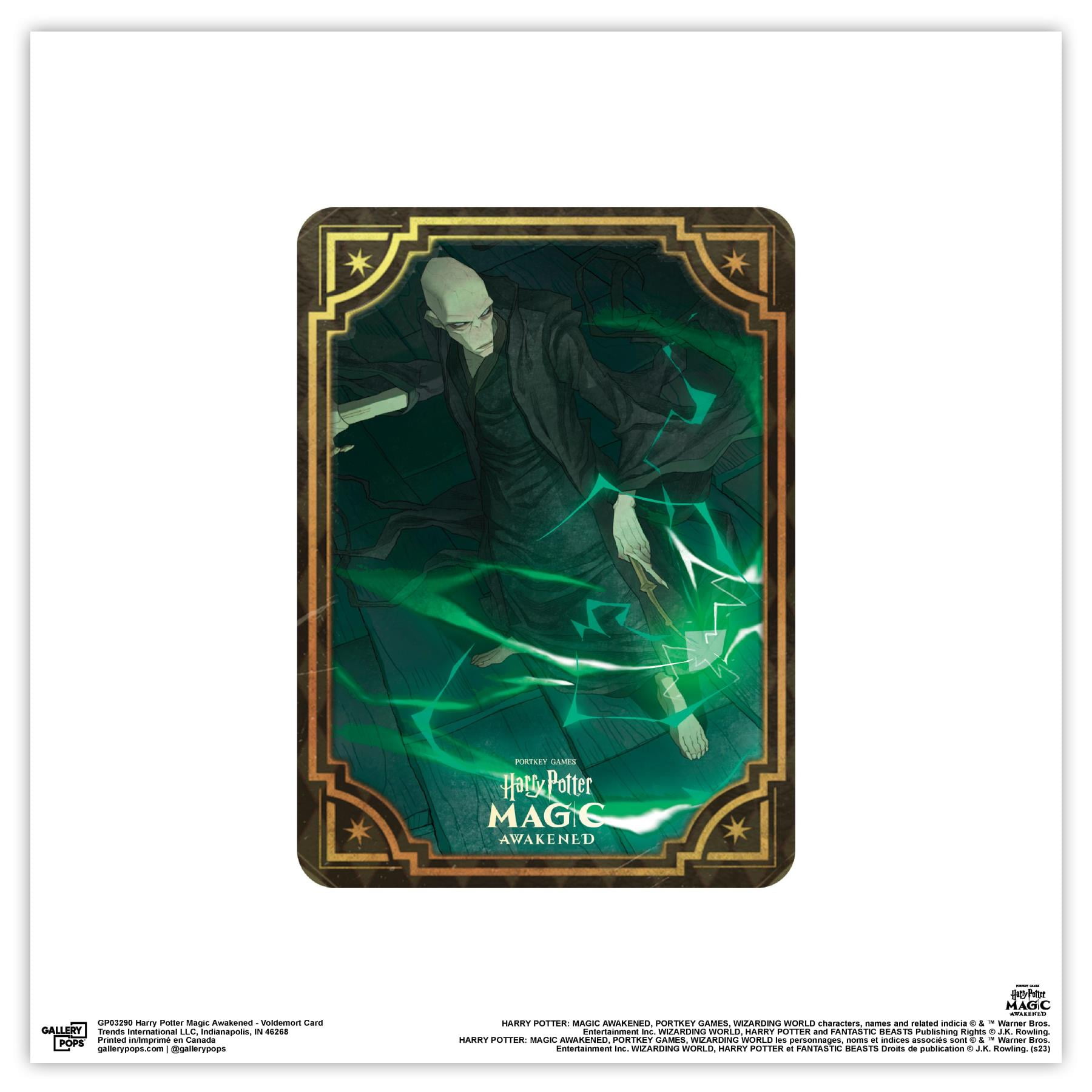 Gallery Pops Harry Potter Magic Awakened - Voldemort Card Wall Art ...