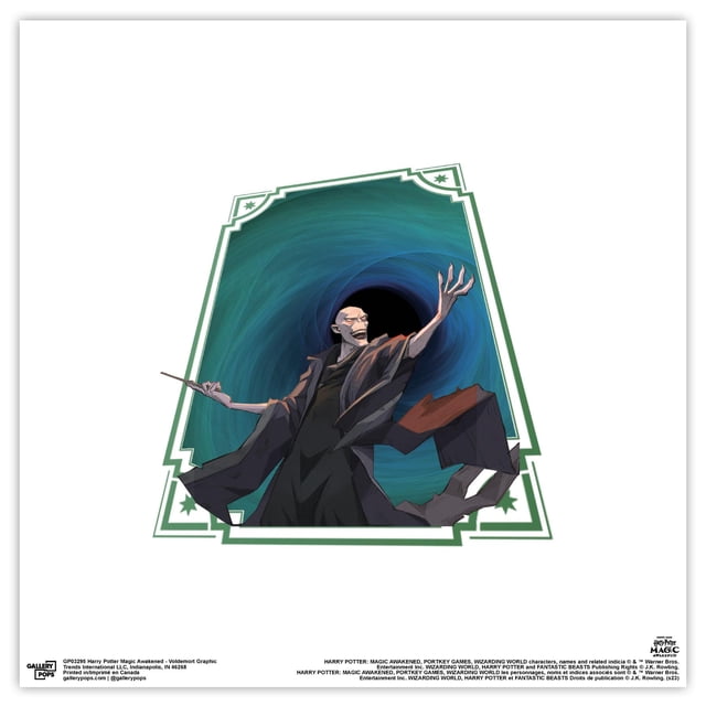 Gallery Pops Harry Potter Magic Awakened - Voldemort Graphic Wall Art ...
