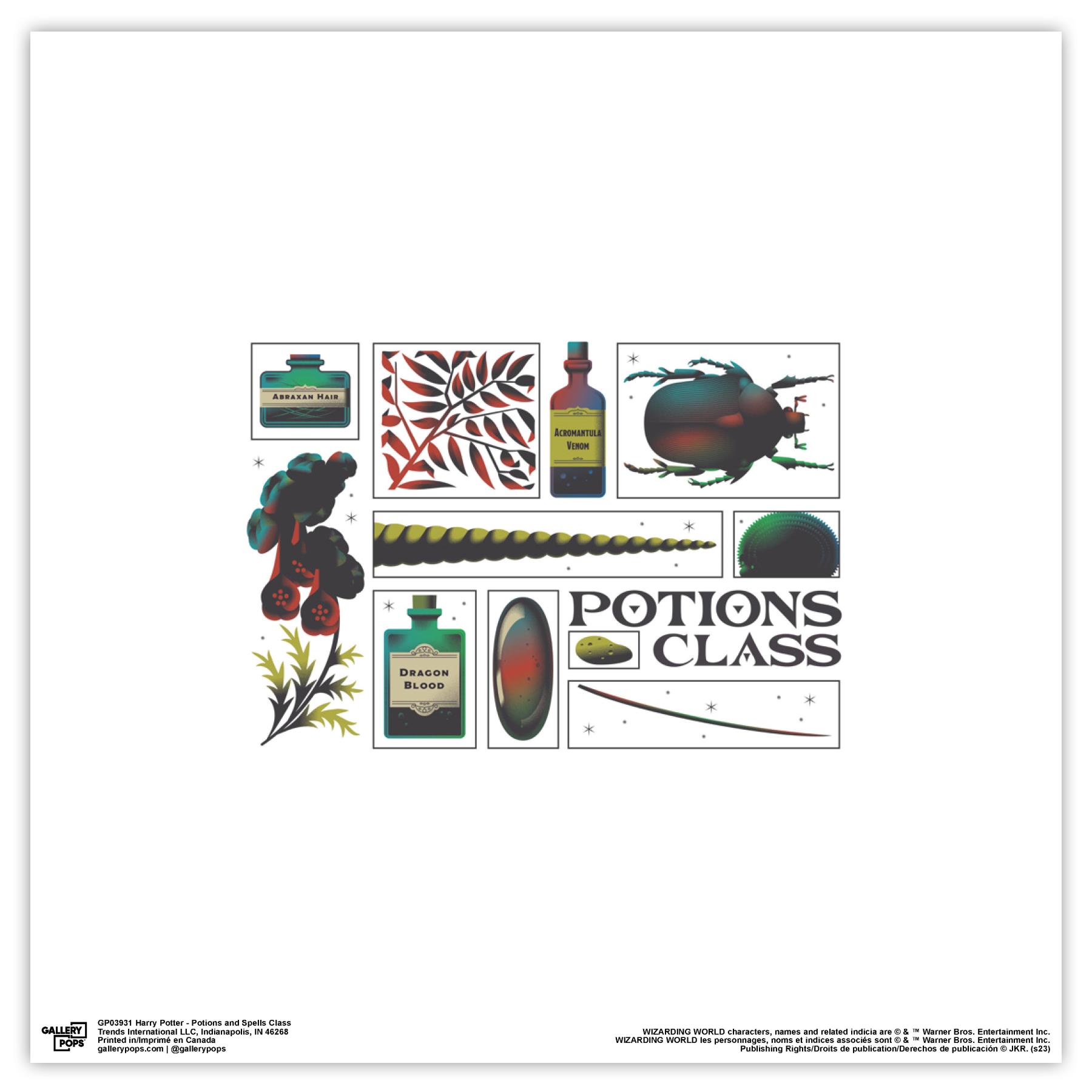 Gallery Pops Harry Potter - Potions and Spells Class Wall Art, Unframed ...