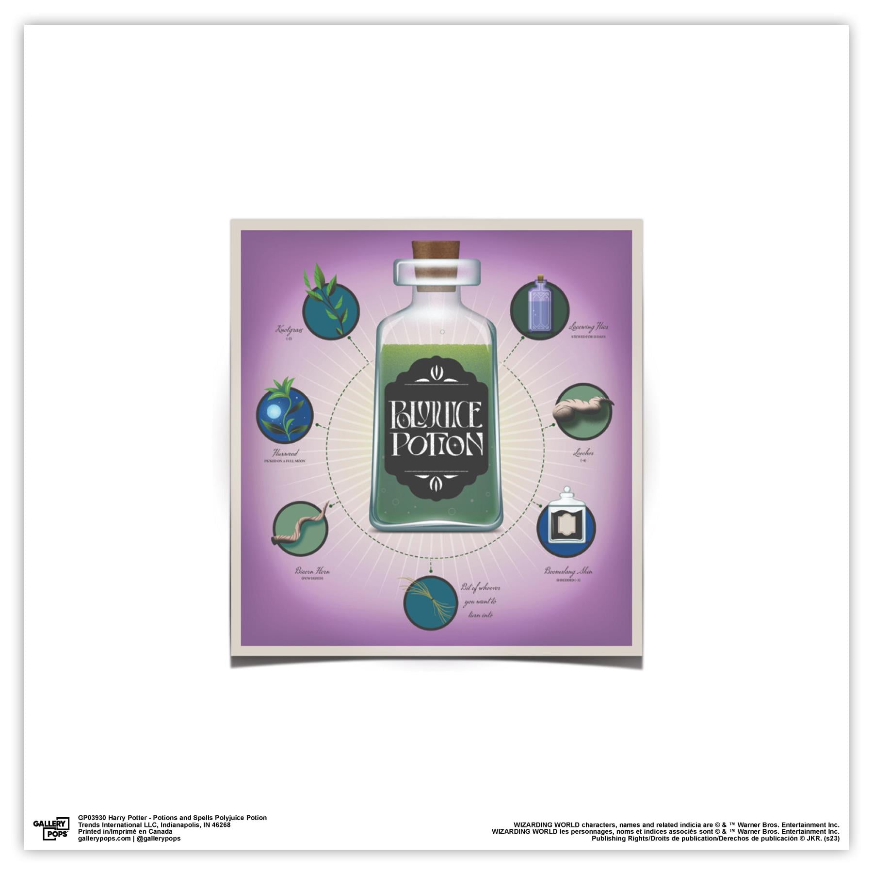 Gallery Pops Harry Potter - Potions and Spells Polyjuice Potion Wall ...
