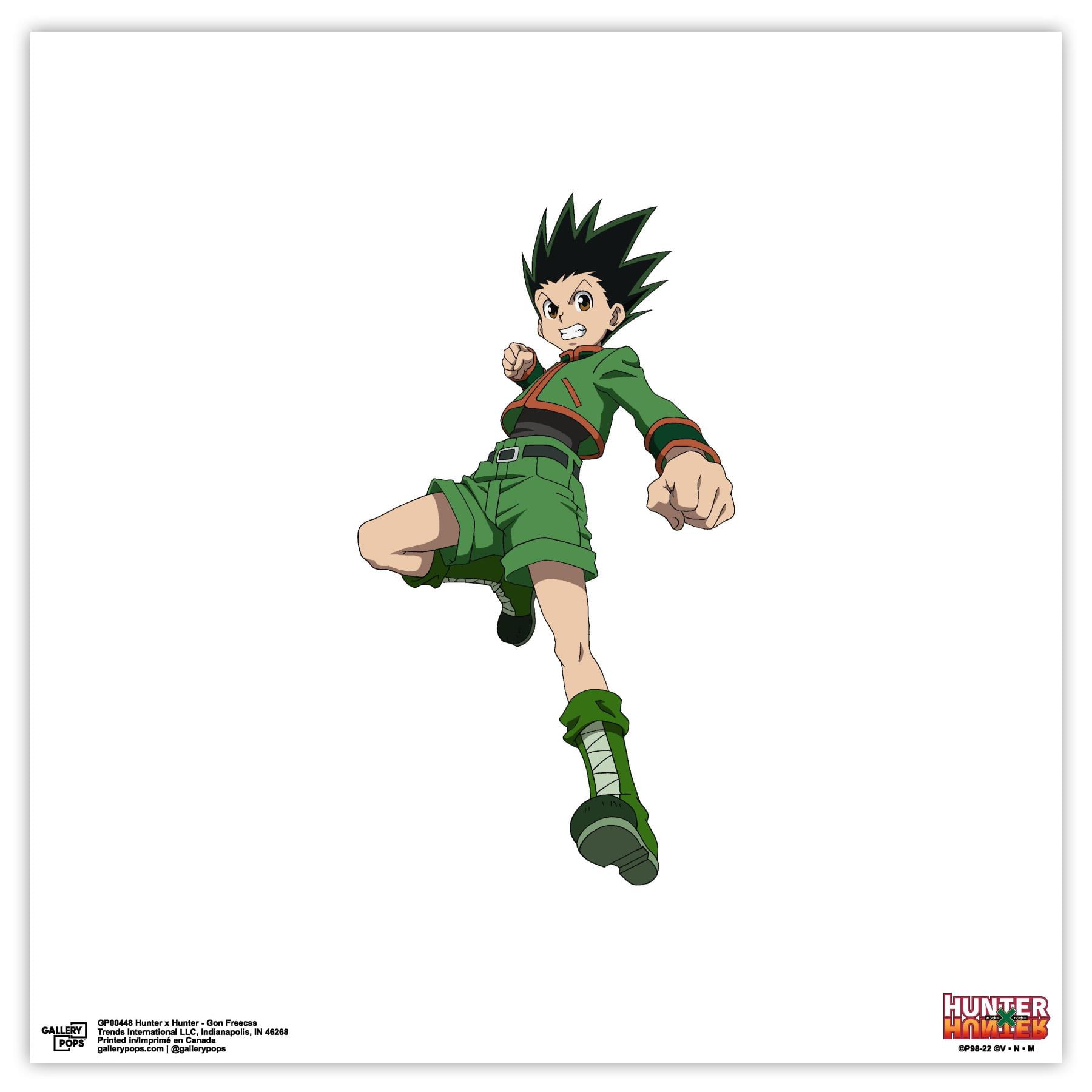 Gallery Pops Hunter x Hunter - Gon Freecss Wall Art, Unframed Version ...