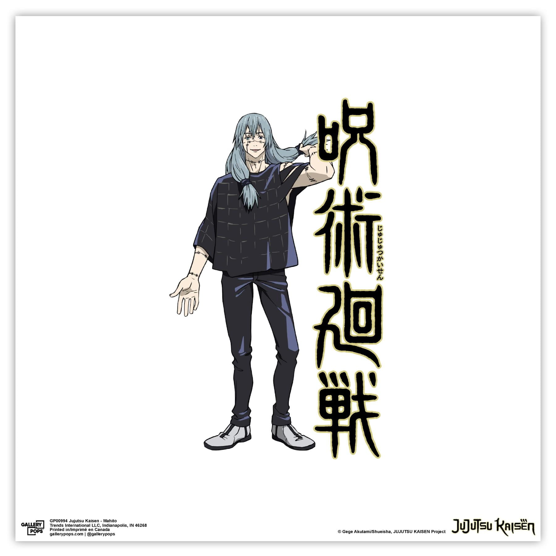 Gallery Pops Jujutsu Kaisen - Mahito Wall Art, Unframed Version, 12" x ...