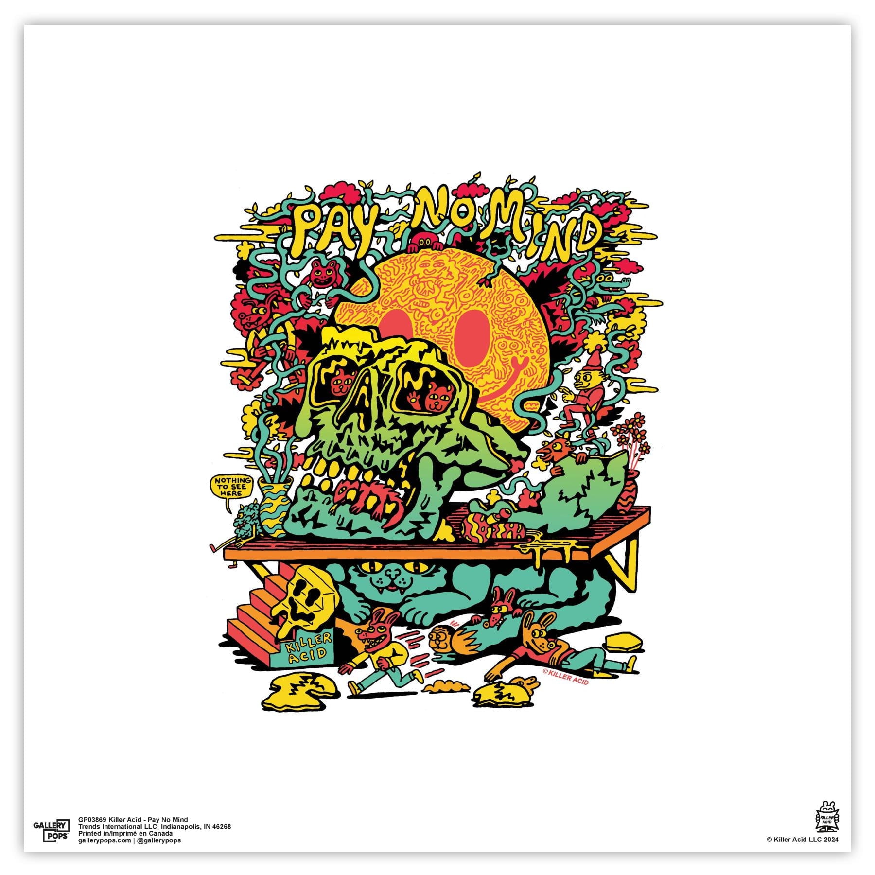 Gallery Pops Killer Acid - Pay No Mind Wall Art, Unframed Version, 12 ...