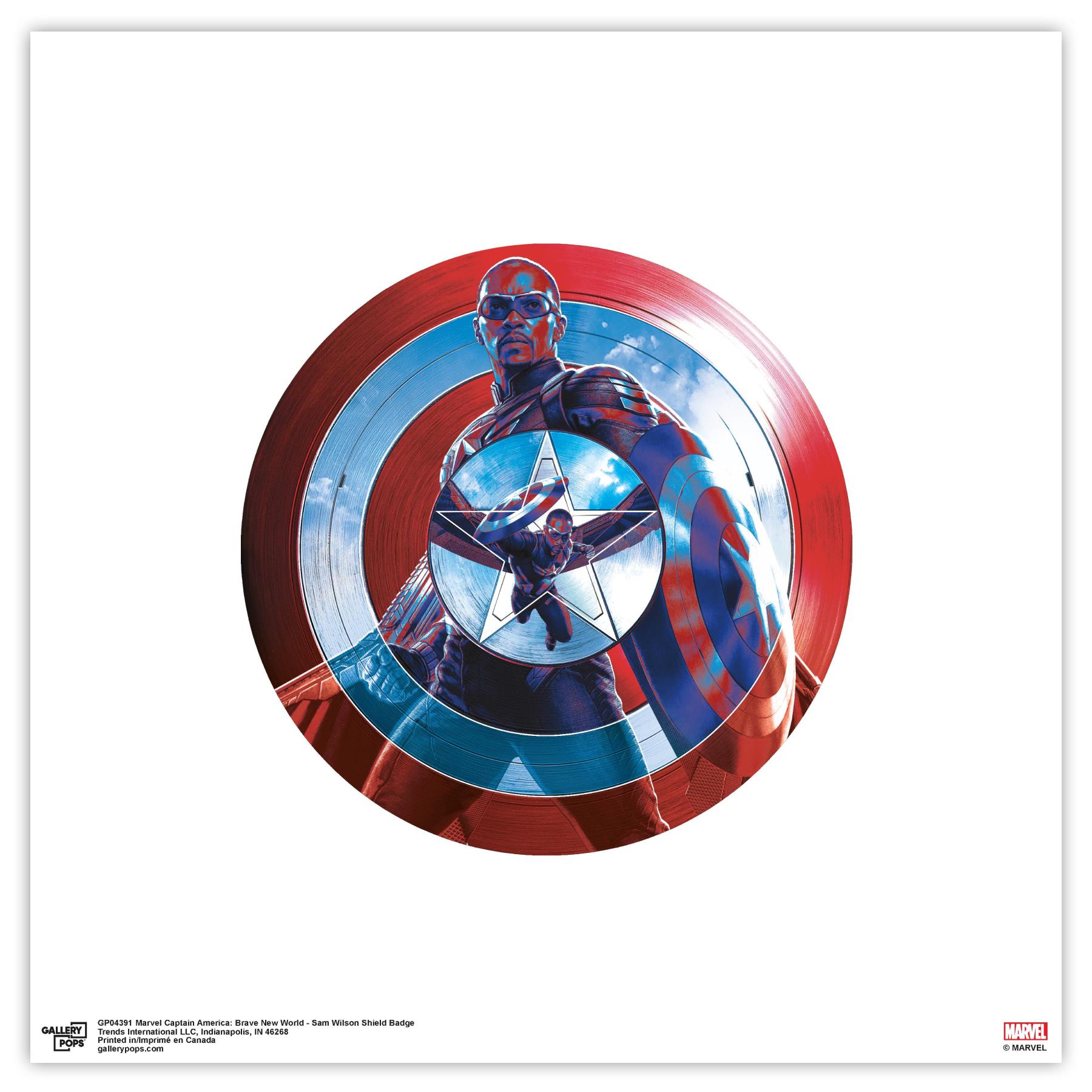 Gallery Pops Marvel Captain America: Brave New World - Sam Wilson ...
