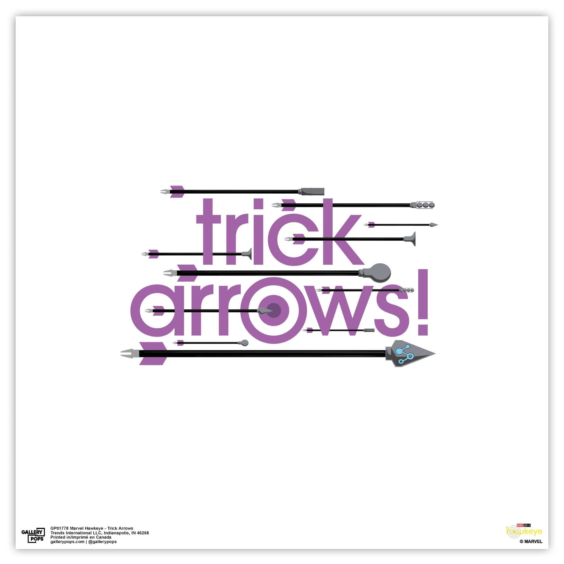 Gallery Pops Marvel Hawkeye - Trick Arrows Wall Art, Unframed Version ...