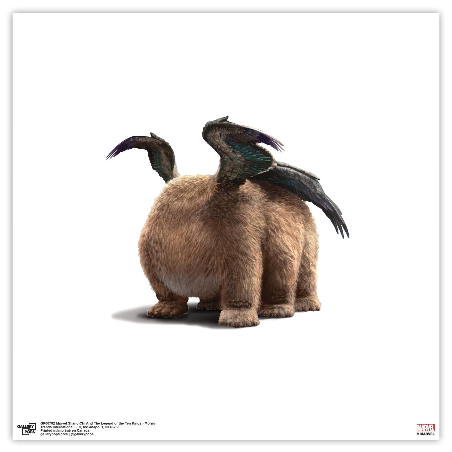 Gallery Pops Marvel Shang-Chi And The Legend of the Ten Rings - Morris ...