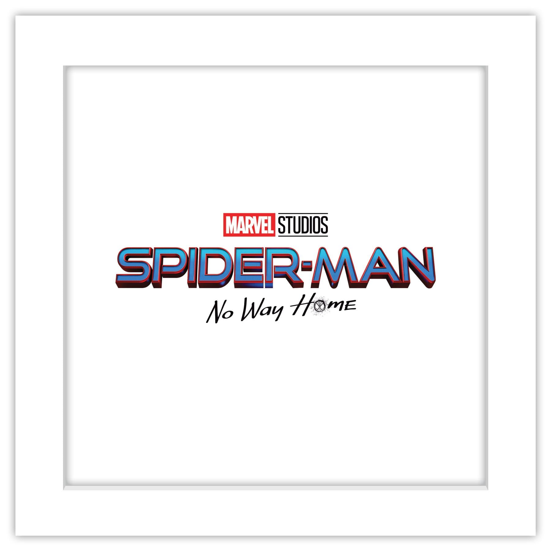 Gallery Pops Marvel Spider-Man: No Way Home - Logo Wall Art, White ...